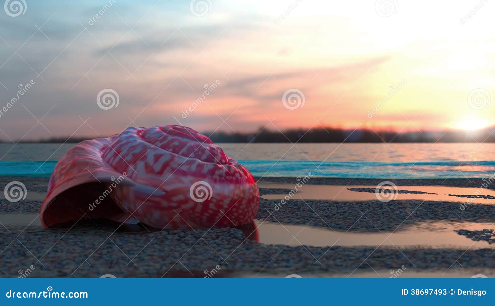 Shells on Beach with Sunset Stock Illustration - Illustration of resort ...