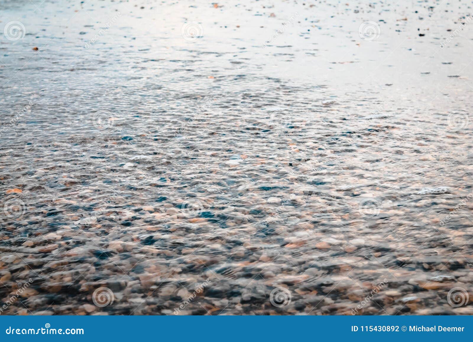 Shells Being Pulled Out To the Ocean Stock Photo - Image of erosion ...