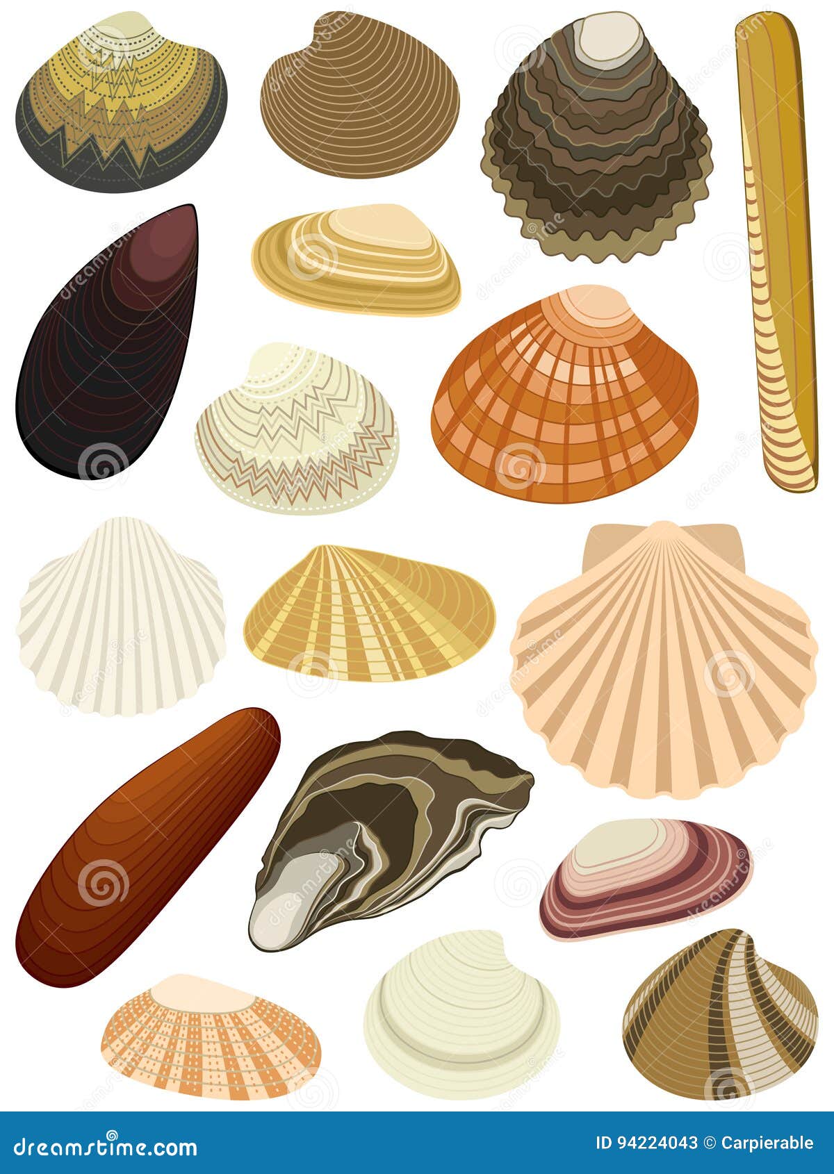 Bivalve Cartoons, Illustrations & Vector Stock Images - 1810 Pictures ...