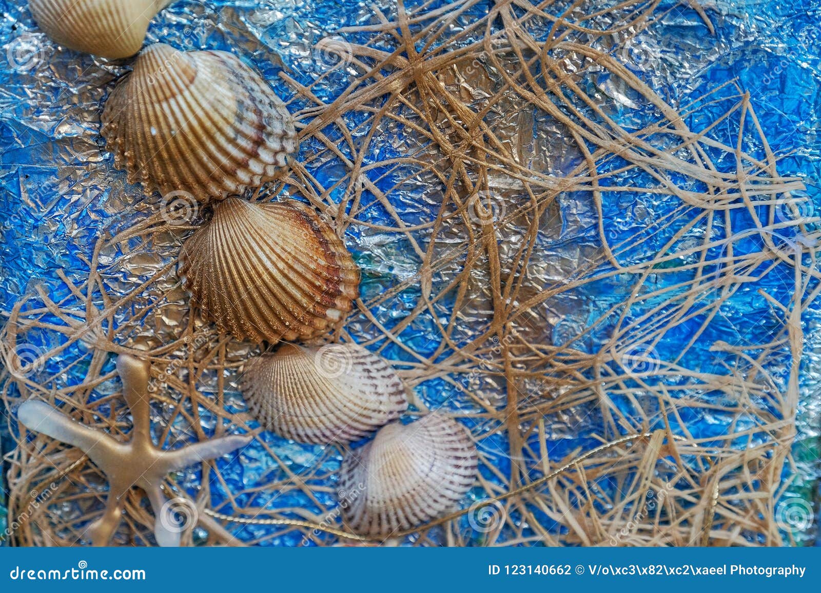 Shells on blue background stock photo. Image of isolated - 123140662