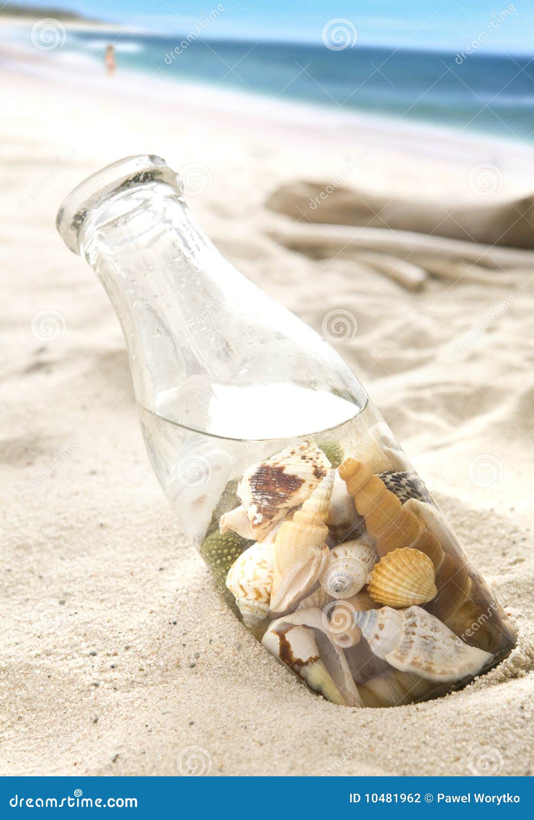 Shells in the Bottle on the Beach Stock Photo - Image of summer, season ...