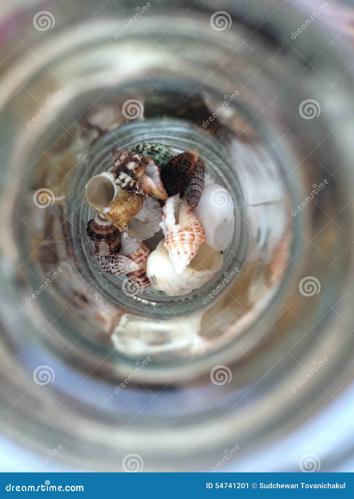 Shells in the bottle stock image. Image of decoration - 54741201