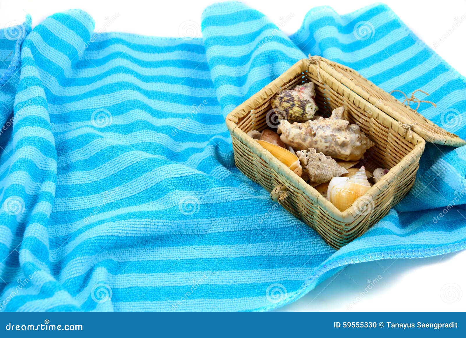 Shells in the box stock photo. Image of pearl, black - 59555330