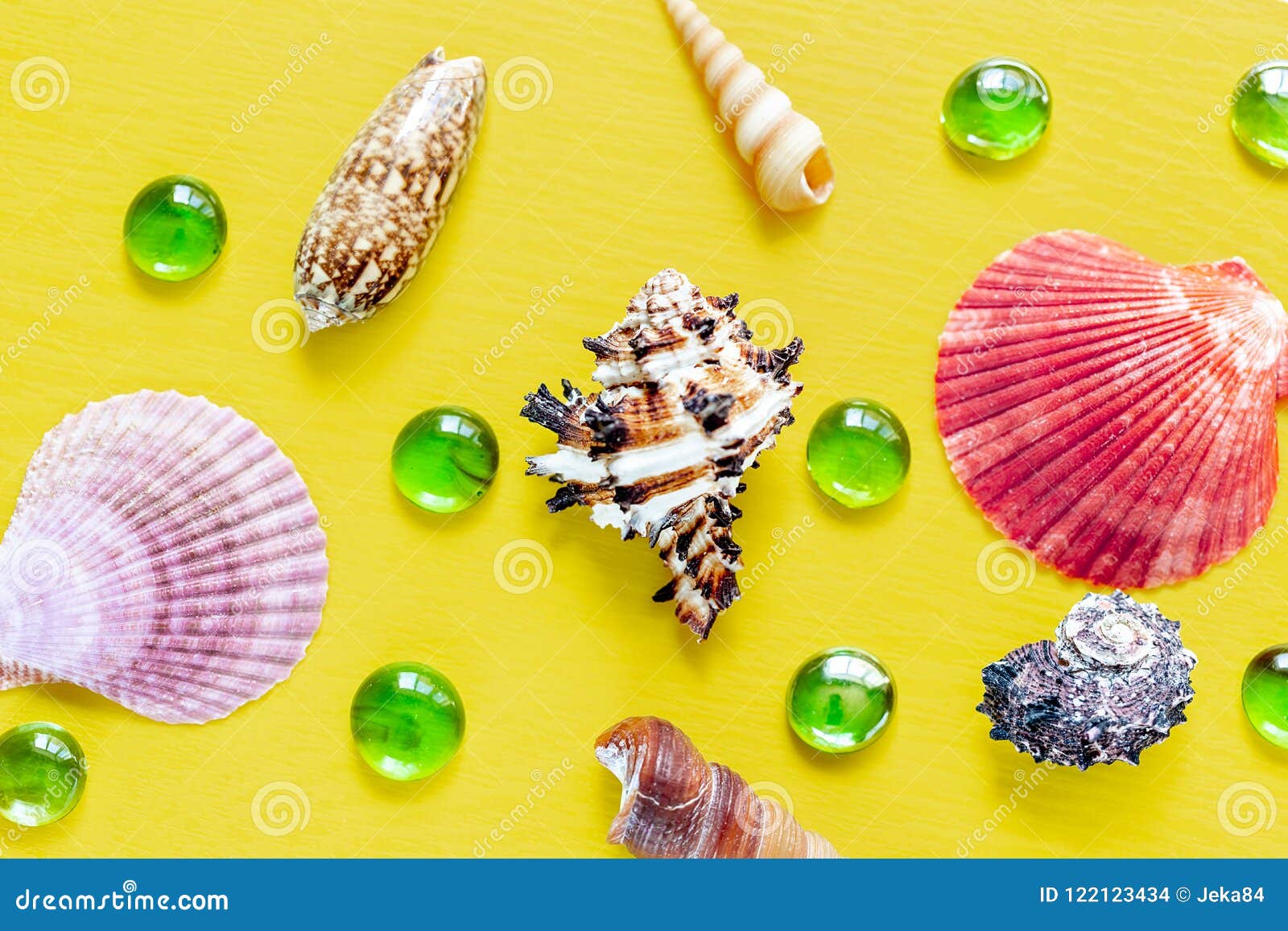 Shells on Bright Yellow. Beautiful Summer Background. Flat Lay. Texture ...