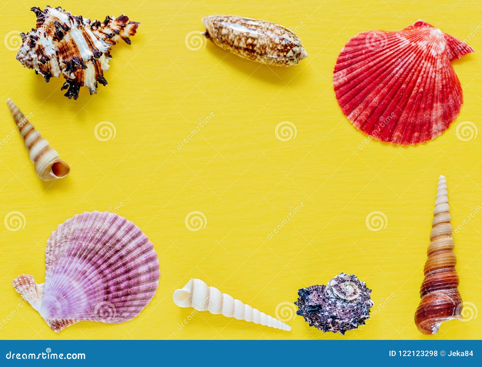 Shells on Bright Yellow. Beautiful Summer Background. Flat Lay. Texture ...