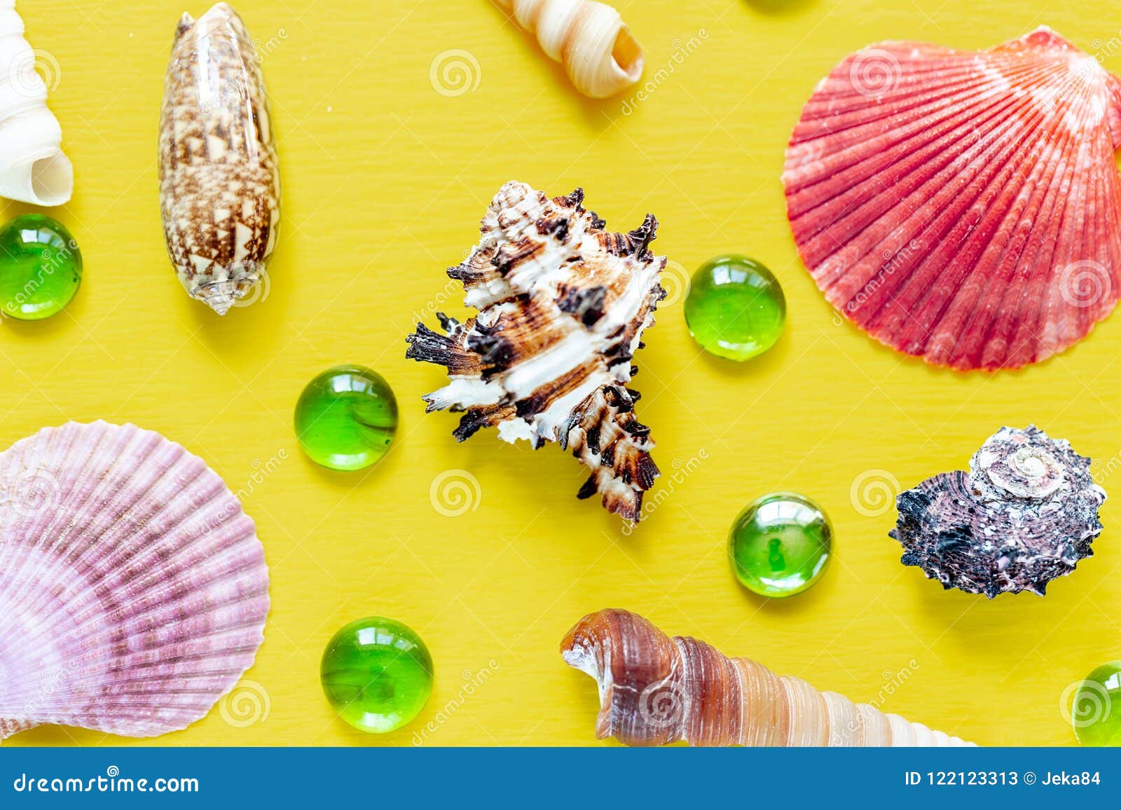 Shells on Bright Yellow. Beautiful Summer Background. Flat Lay. Texture ...