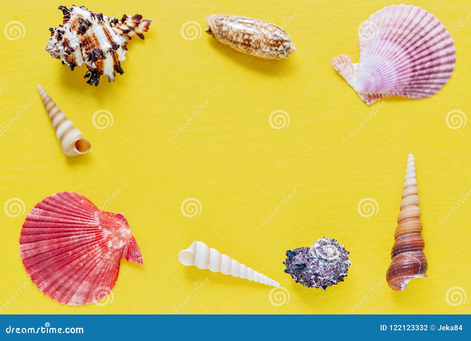 Shells on Bright Yellow. Beautiful Summer Background. Flat Lay. Texture ...