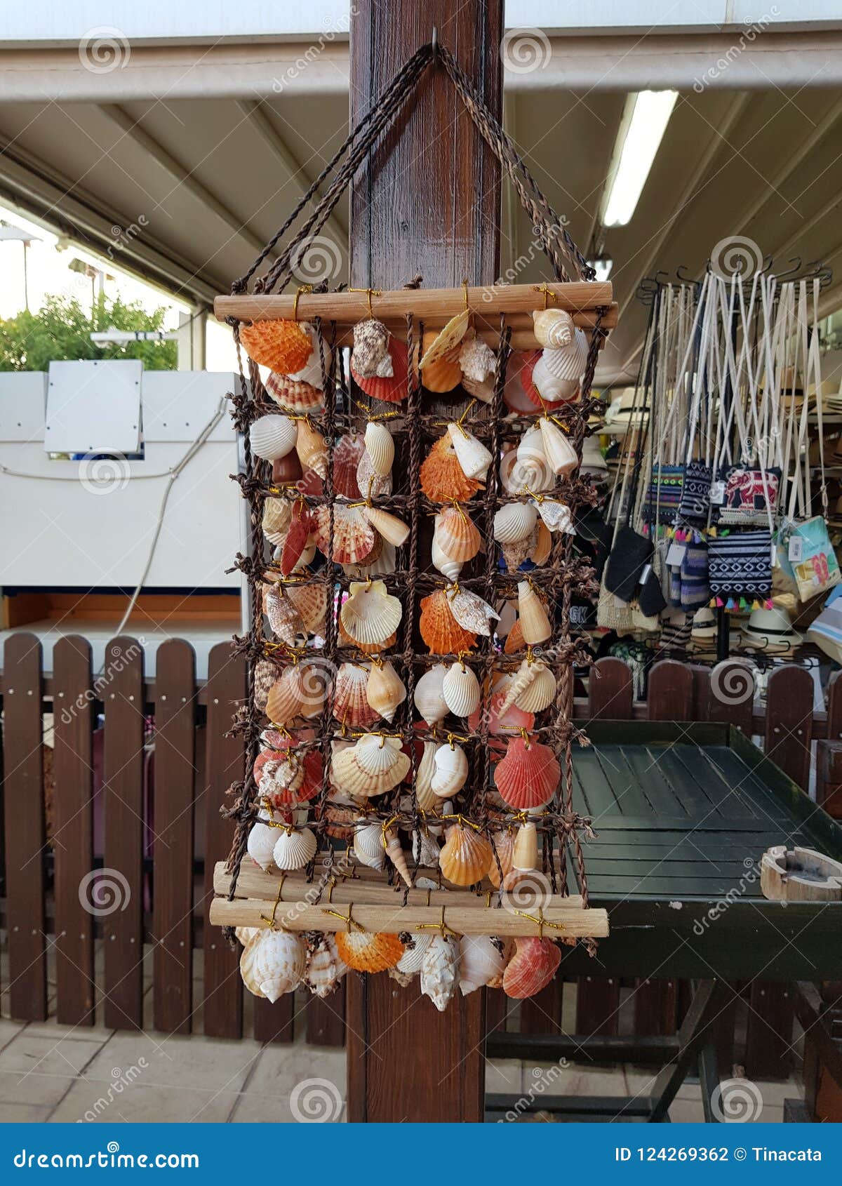 Shells Closeup Sizes Star Fish Summer Specific Stock Photo - Image of ...