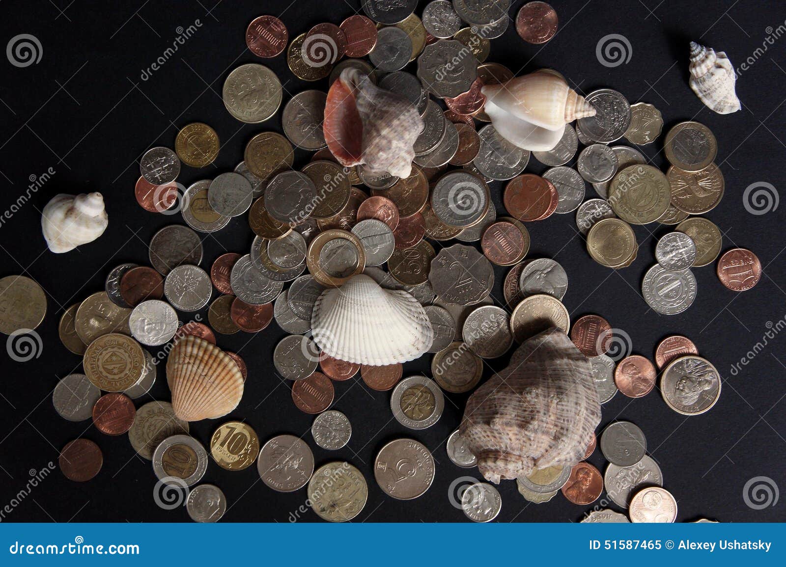 Shells and coins stock image. Image of copper, organism - 51587465