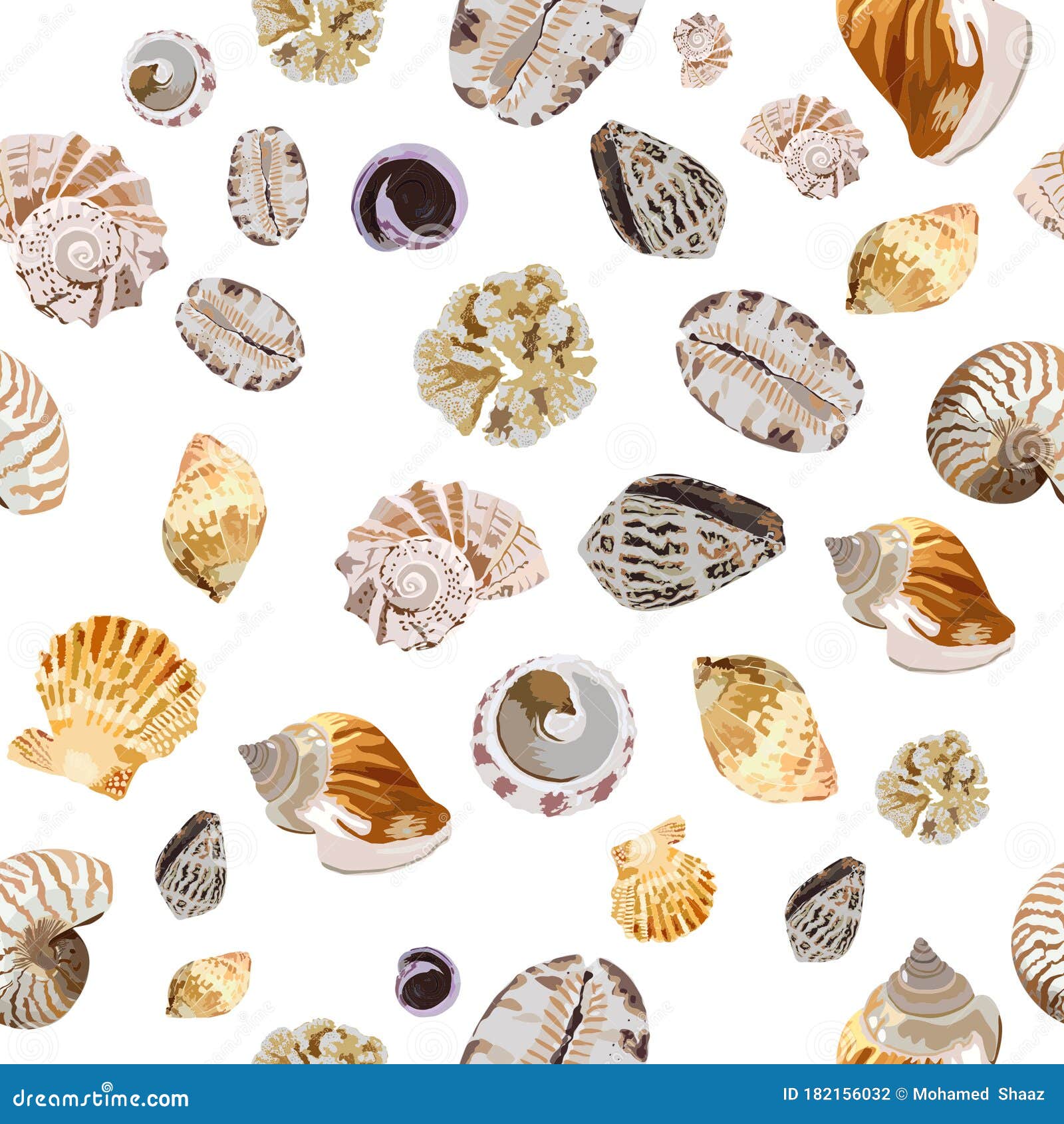 Shells Collection Repeat Pattern from Maldives Stock Vector ...