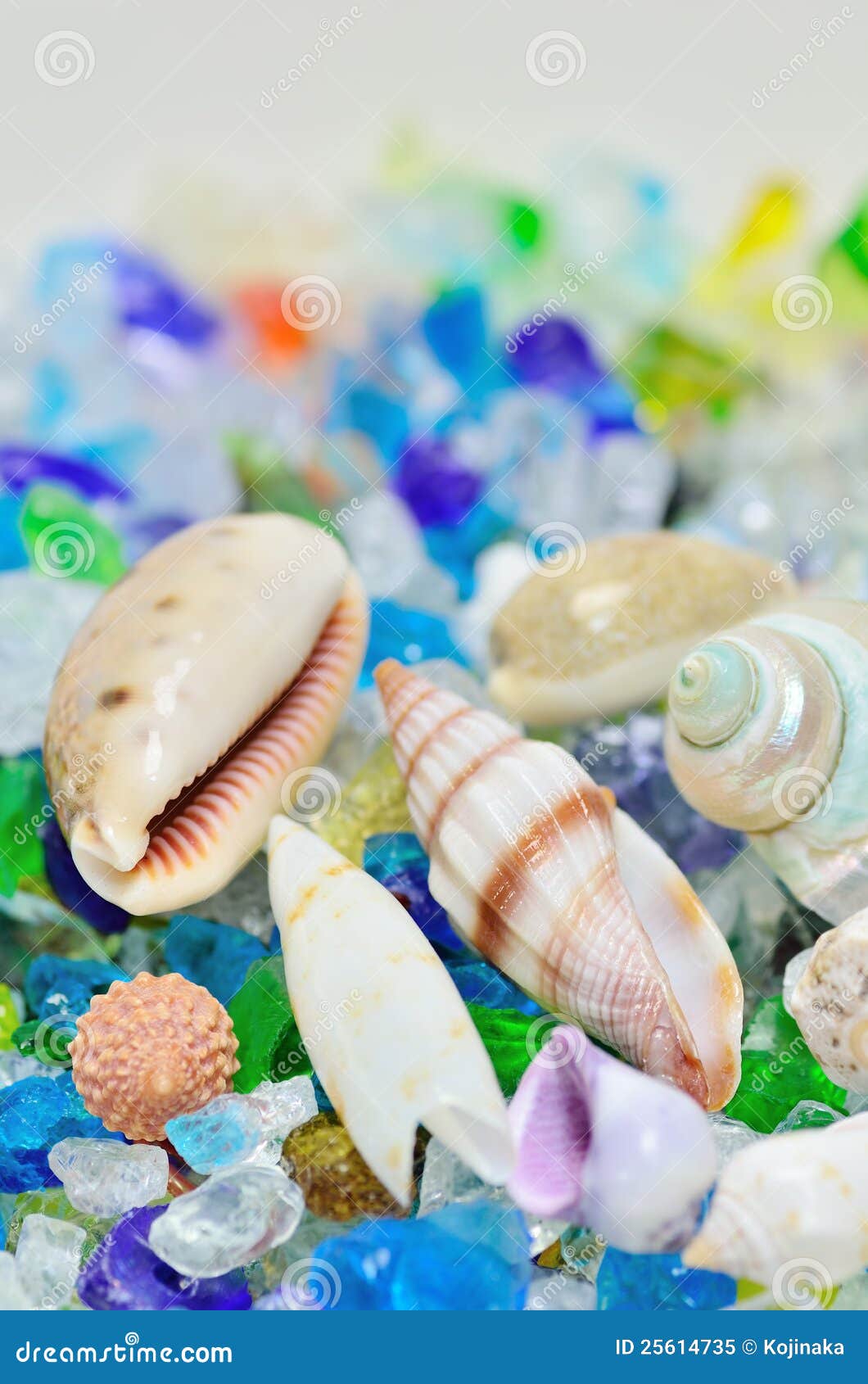 Shells and colored glass. stock image. Image of vivid - 25614735