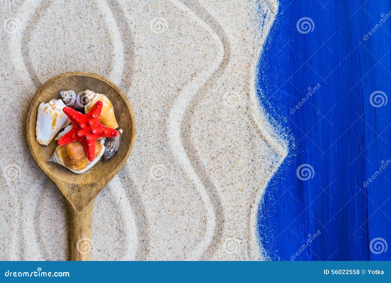 Shells Colored Spoon Beach Sand Stock Photo - Image of closeup, scallop ...