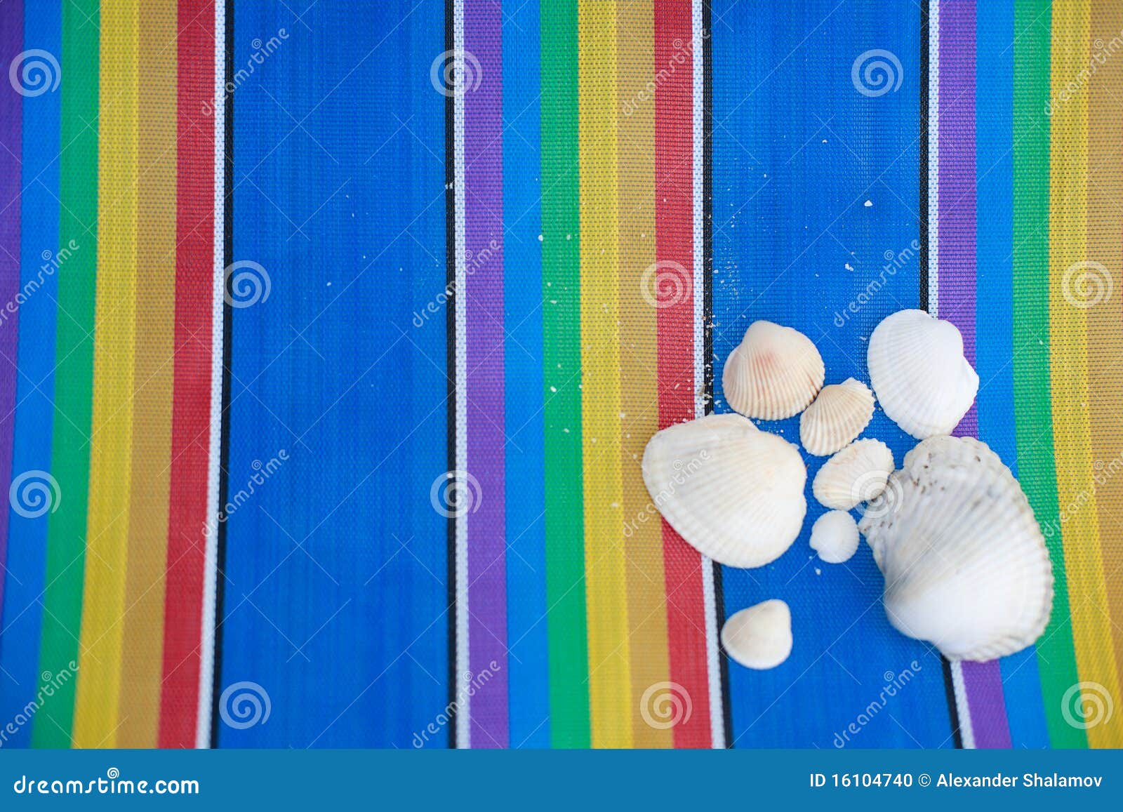 Shells on Colorful Background Stock Photo - Image of marine, beautiful ...
