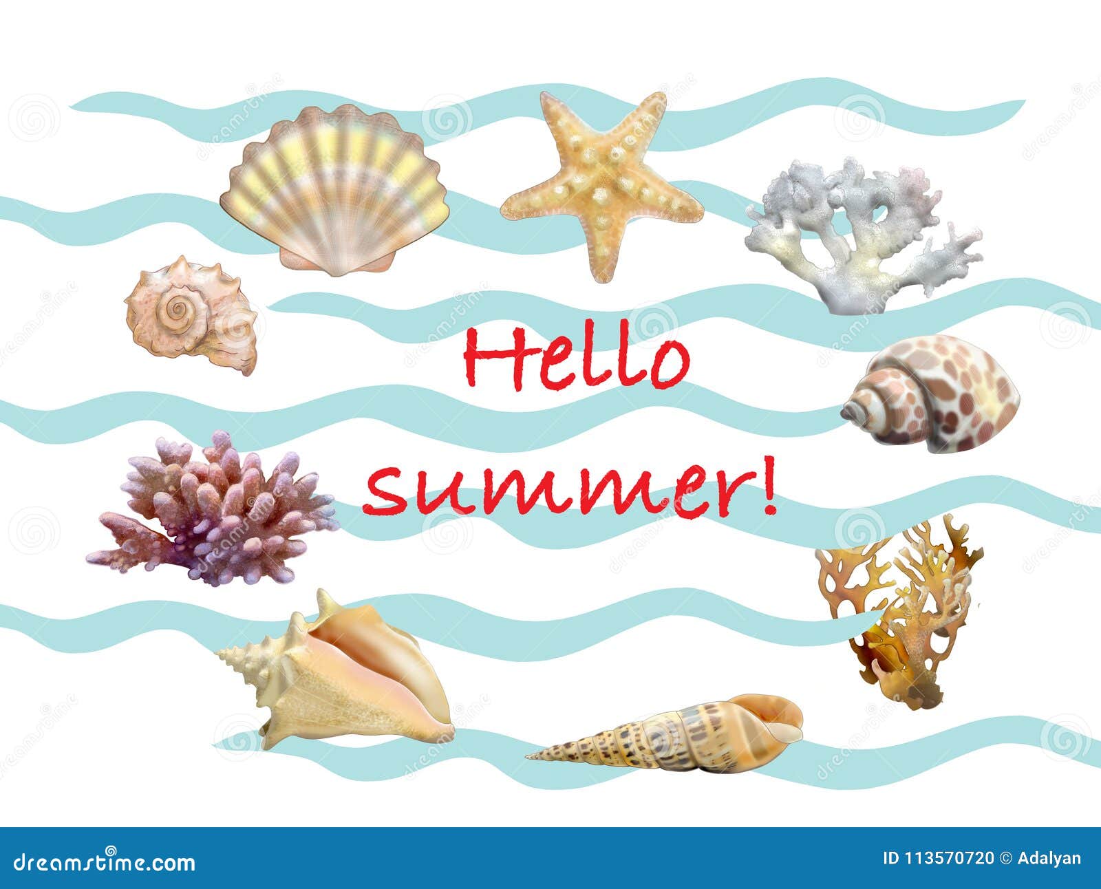 Summer Sea Shells Horizontal Banner Design Cartoon Vector ...