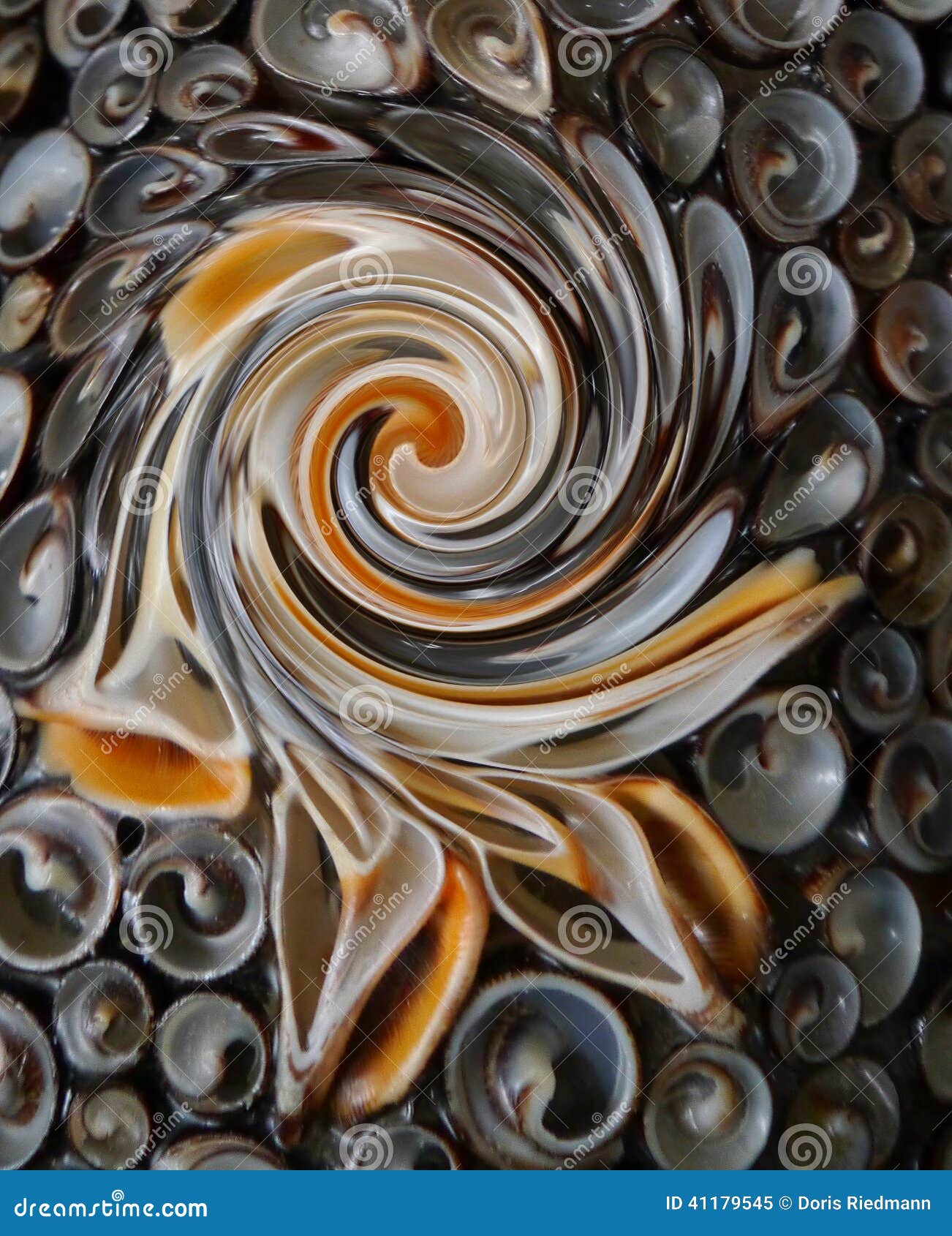 Shells design abstract stock image. Image of shells, light - 41179545