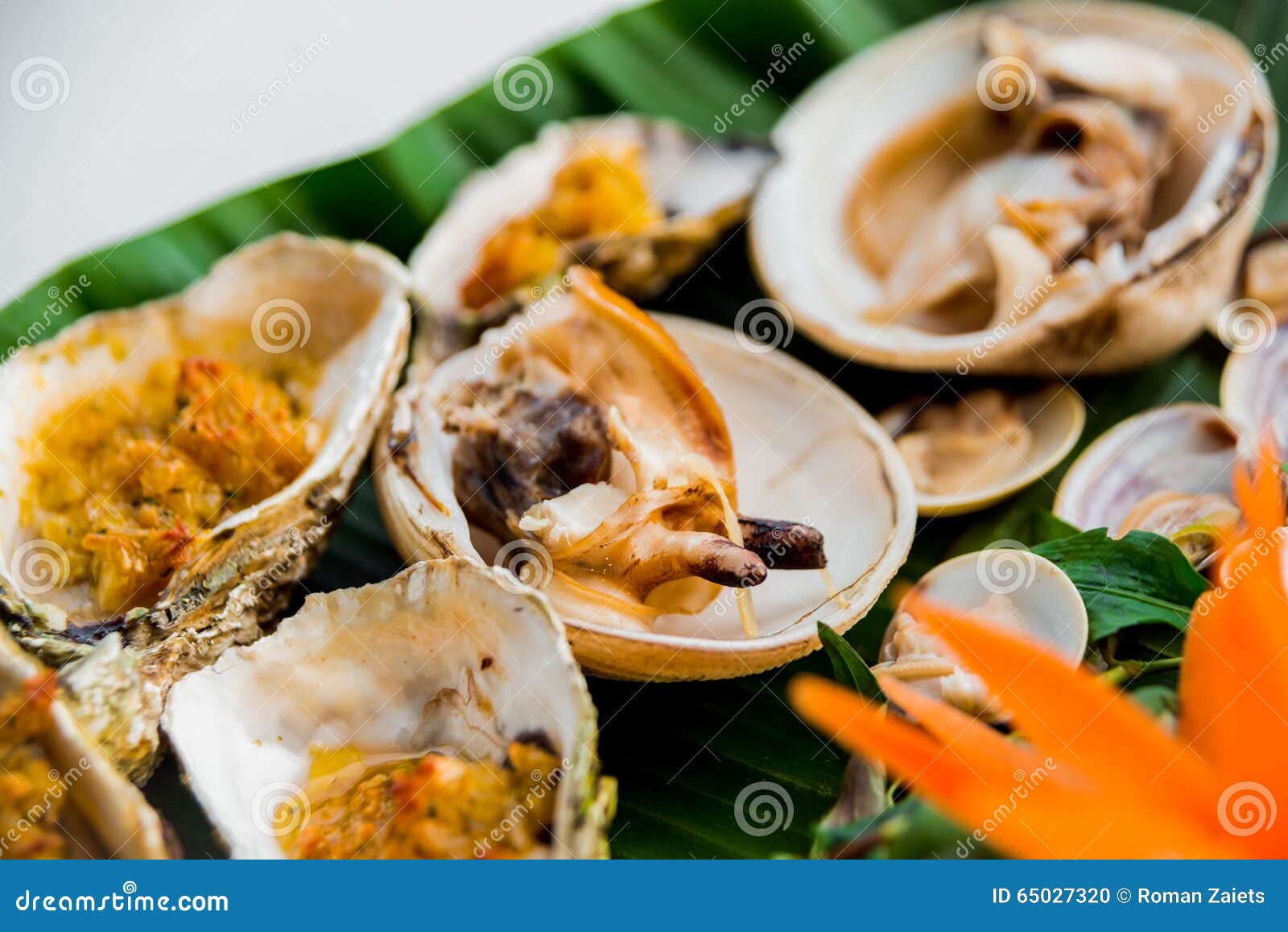 Shells on the dish stock photo. Image of health, lunch - 65027320