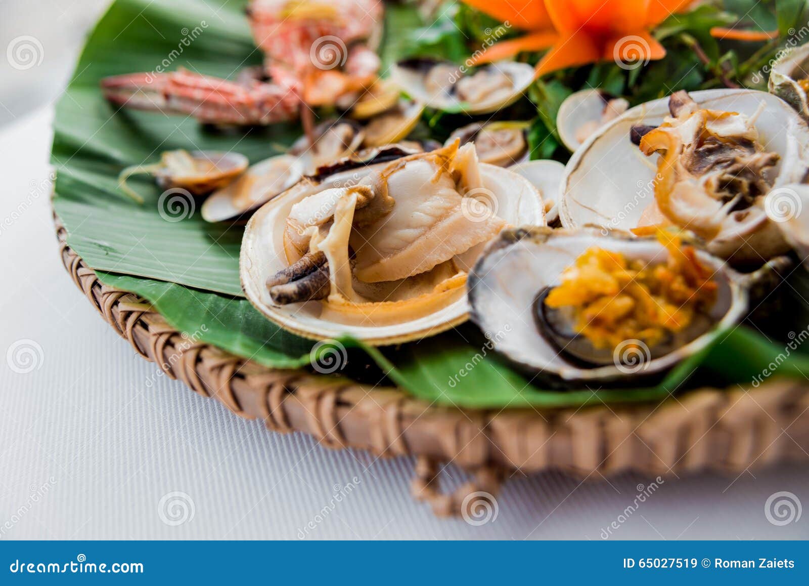Shells on the dish stock image. Image of life, shell - 65027519