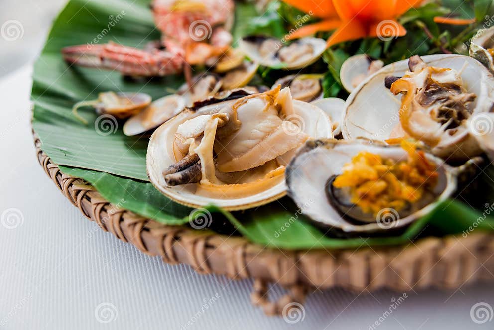 Shells on the dish stock image. Image of life, shell - 65027519