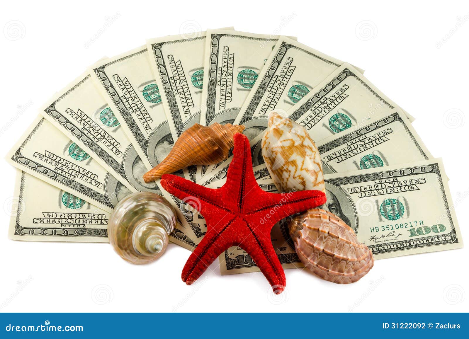 Shells on dollars isolated stock photo. Image of isolated - 31222092