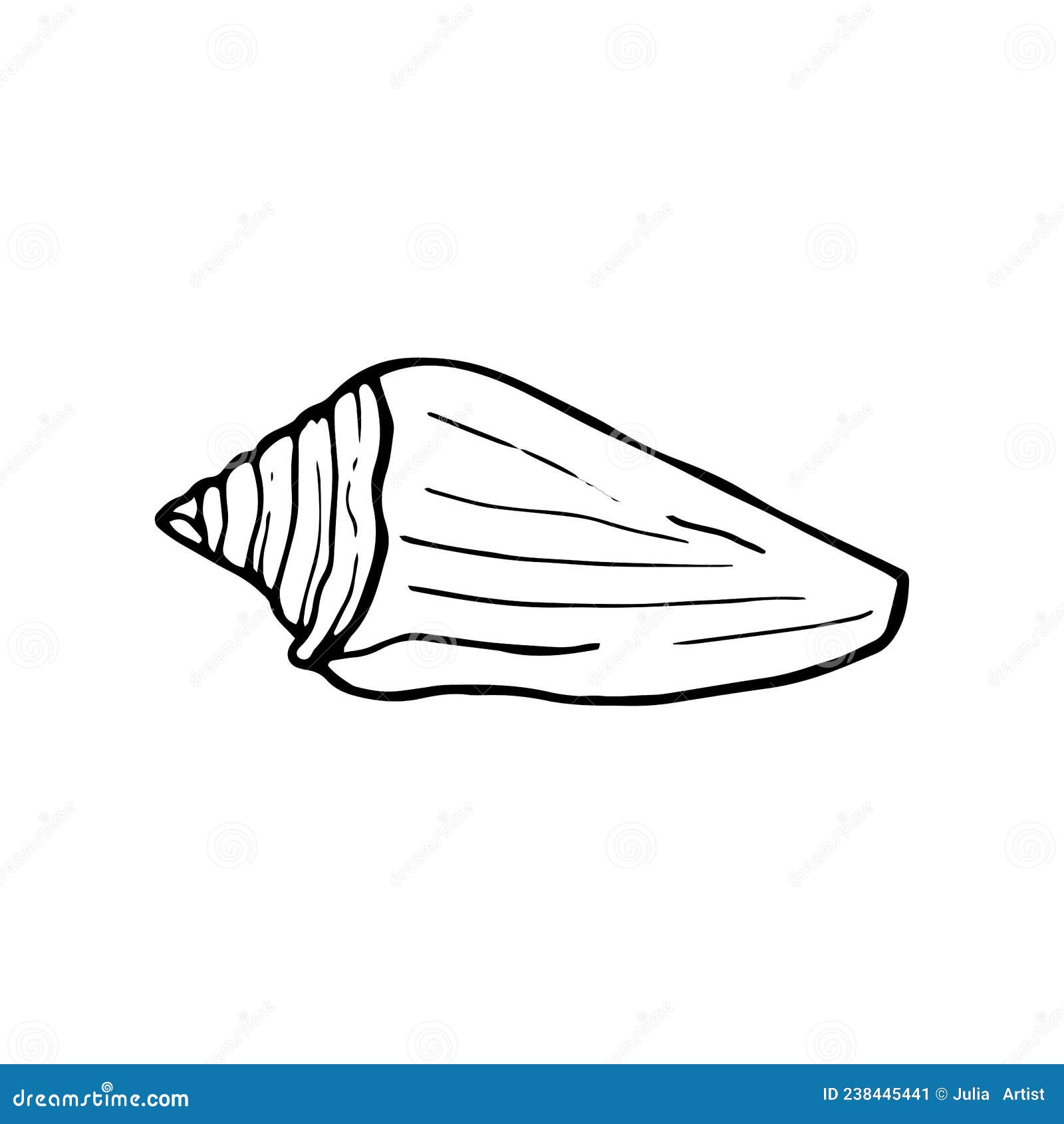 Shells Doodle Set. Hand-drawn Vector Sea Sell. Stock Illustration ...