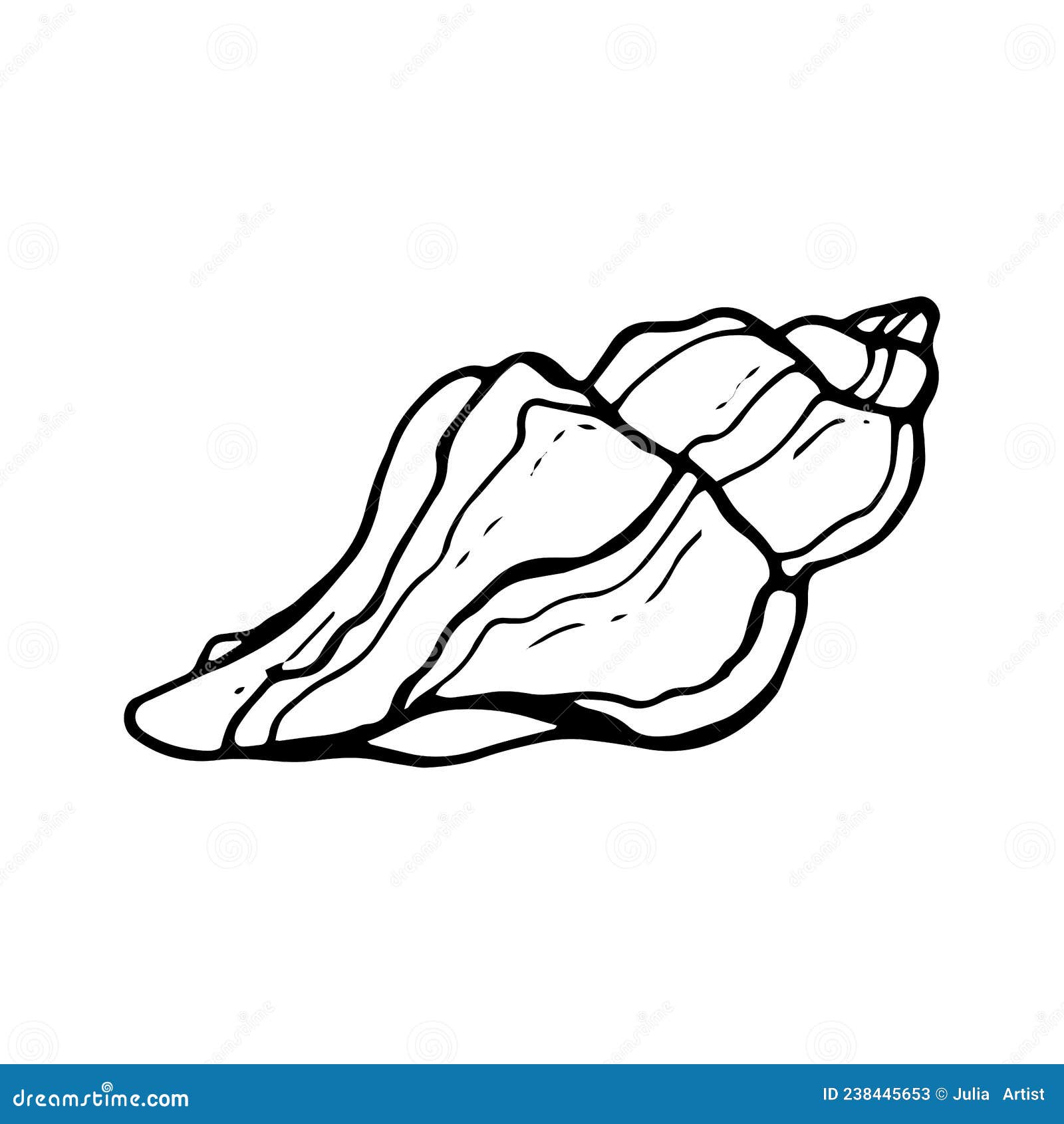 Shells Doodle Set. Hand-drawn Vector Sea Sell. Stock Illustration ...