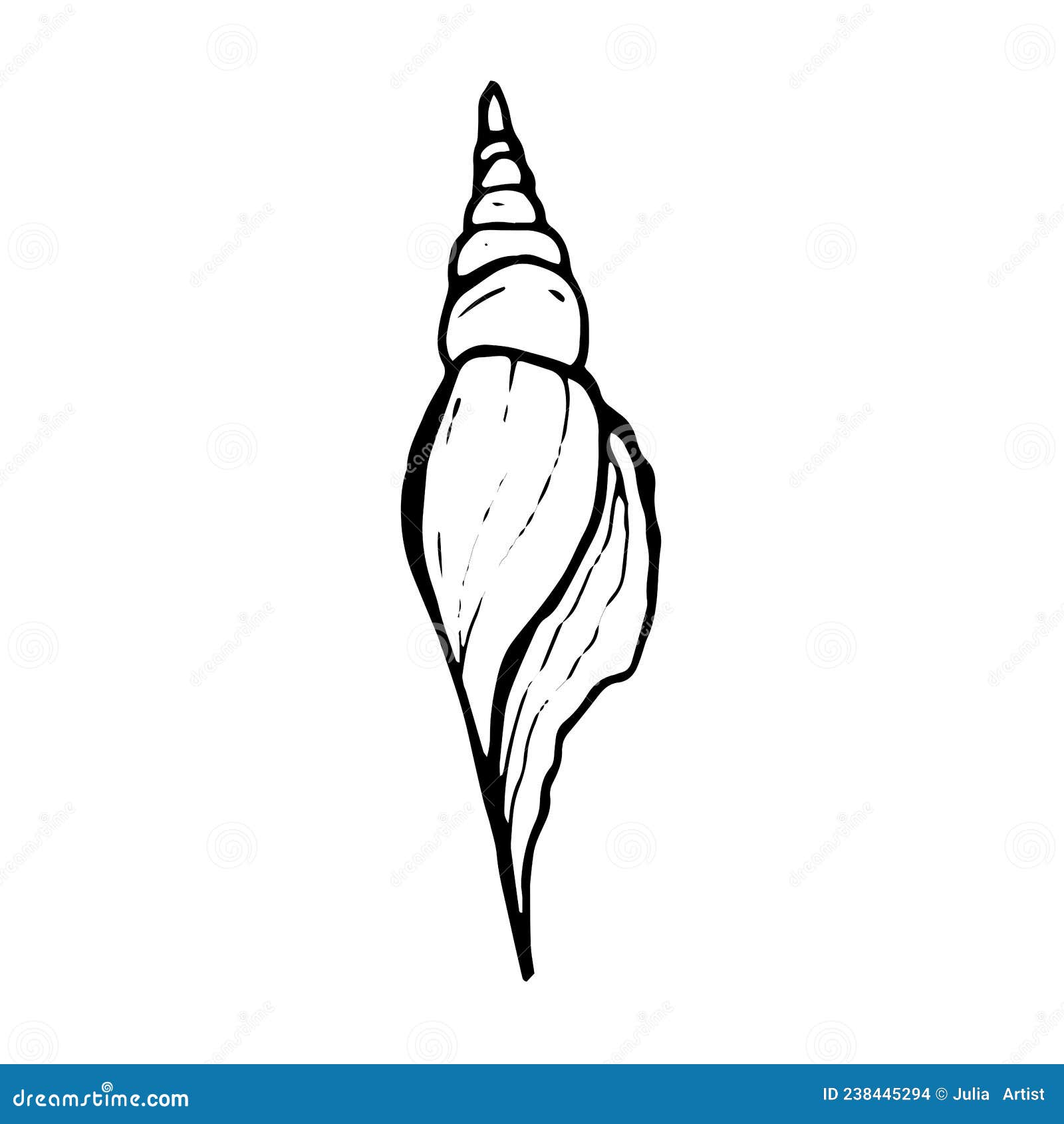 Shells Doodle Set. Hand-drawn Vector Sea Sell Stock Vector ...