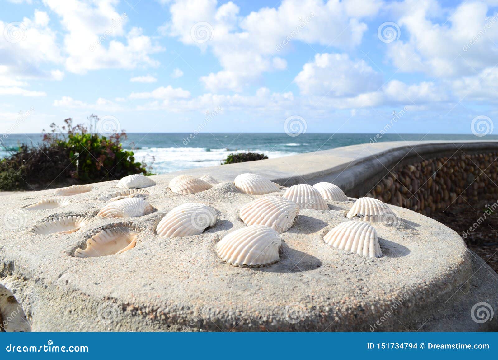 Shells embedded stock photo. Image of worker, feel, touch - 151734794
