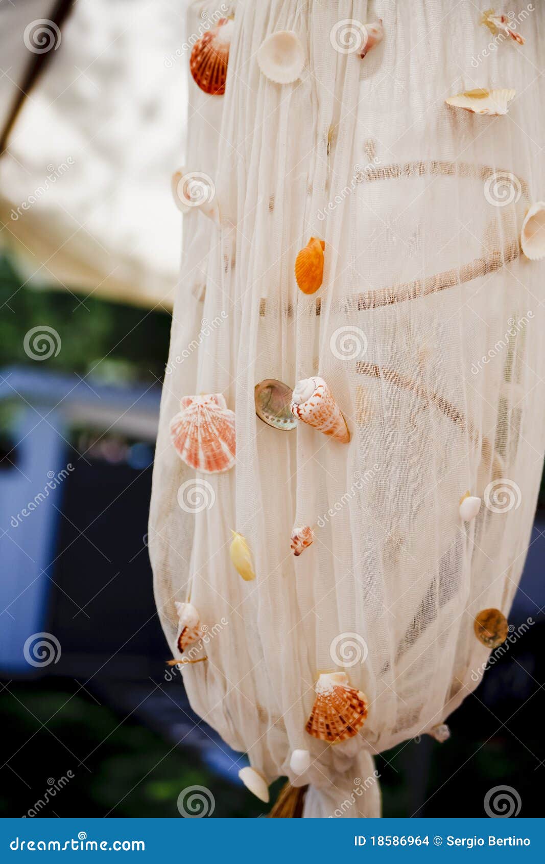 Shells on fishing net stock photo. Image of artistic - 18586964
