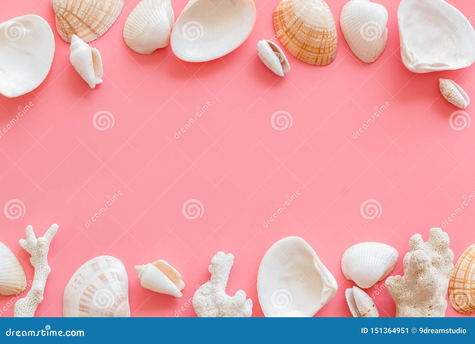 Shells Frame and Seaside Background for Blog or Desktop on Pink Table ...