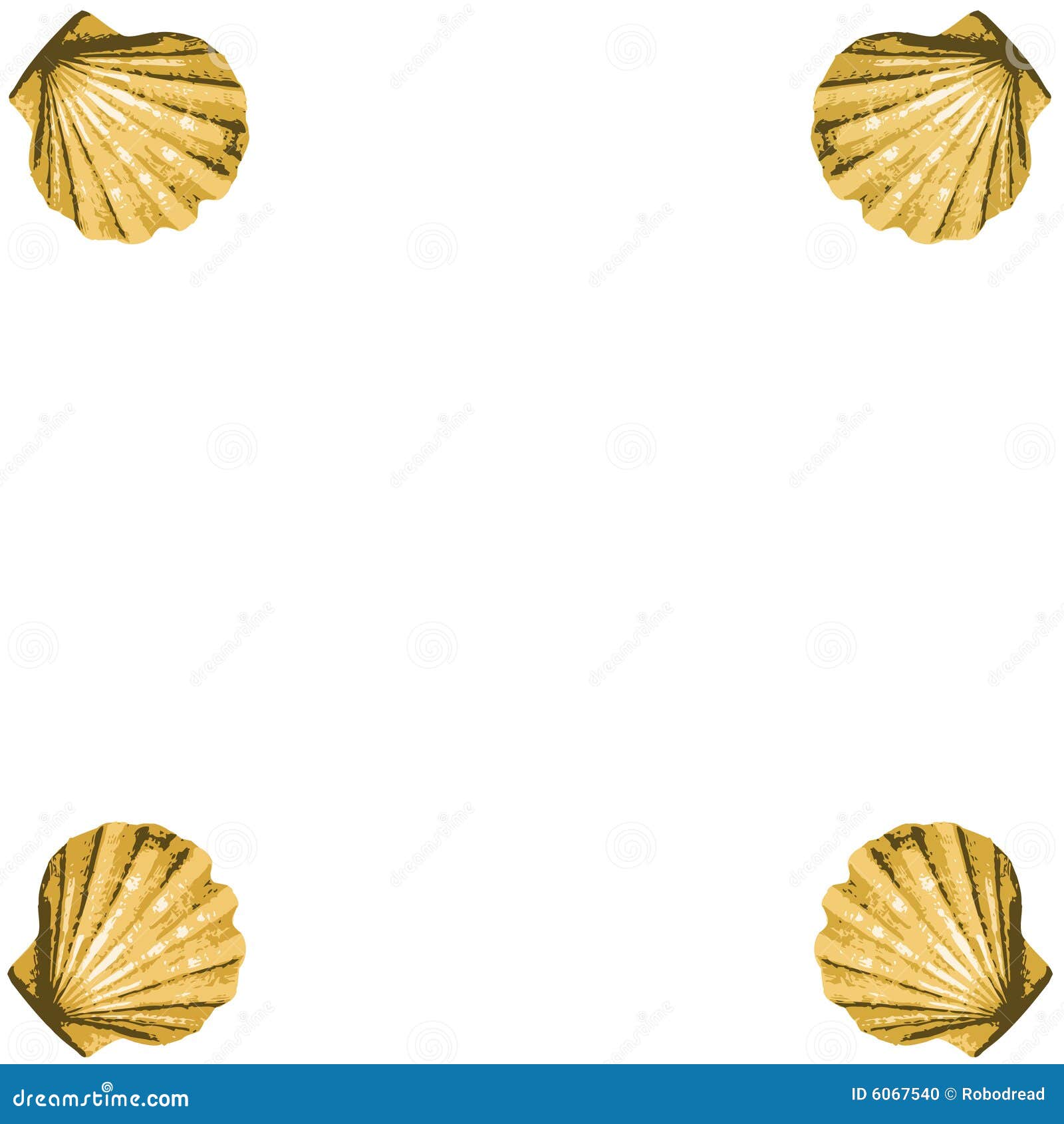 Shells frame (vector) stock vector. Illustration of indefinite - 6067540