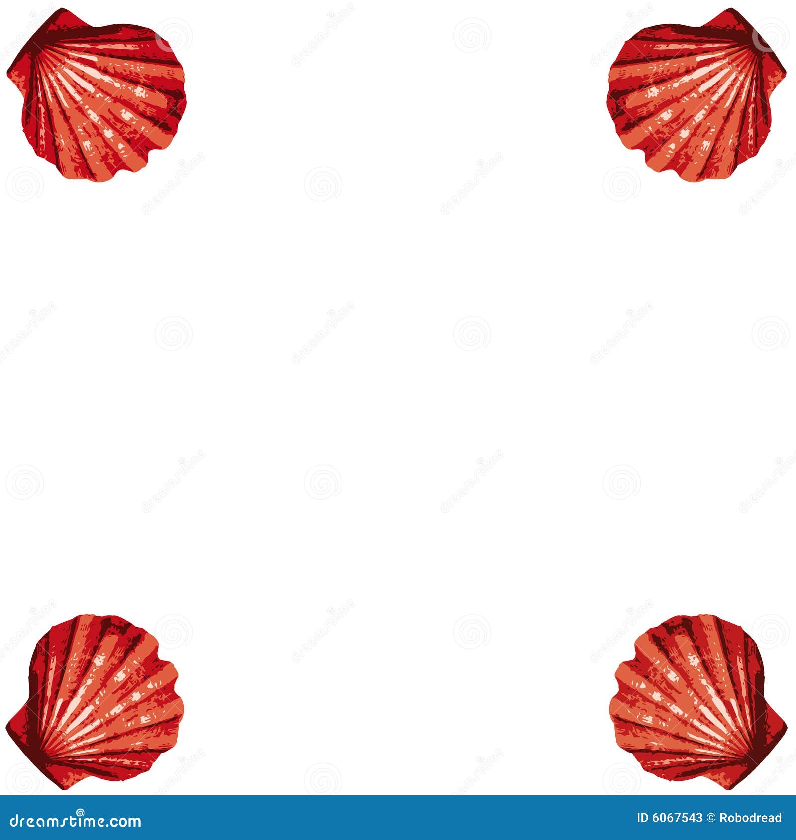 Shells frame (vector) vector illustratie. Illustration of grens - 6067543