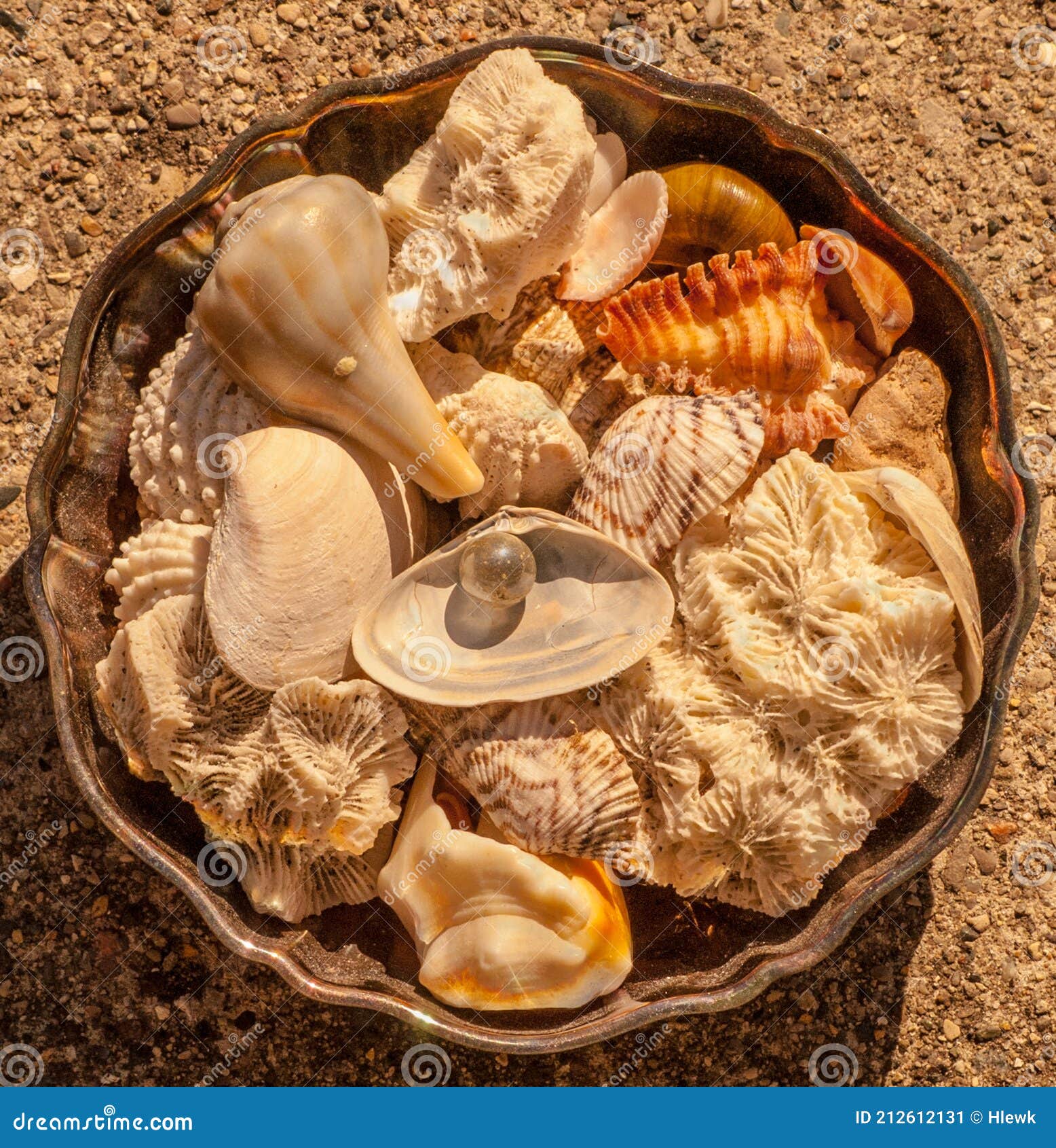 Shells in Glass Bowl on Sand Stock Image - Image of shades, shapes ...