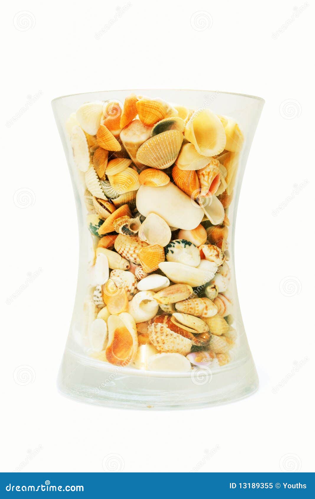 Shells in glass jar stock image. Image of baltic, collection - 13189355