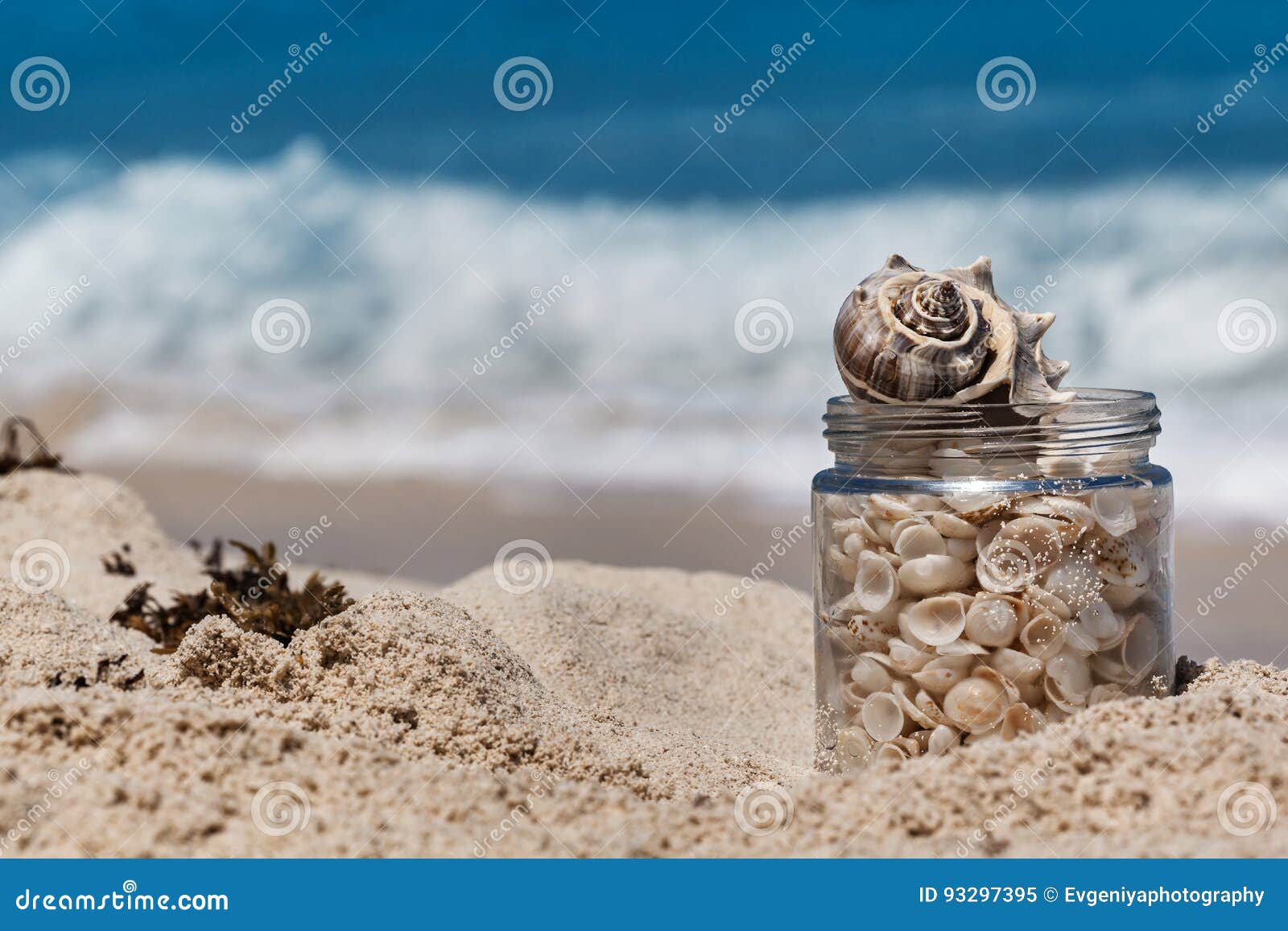 Shells in a Glass Jar on the Sand Beach, Tropical Landscape Stock Image ...