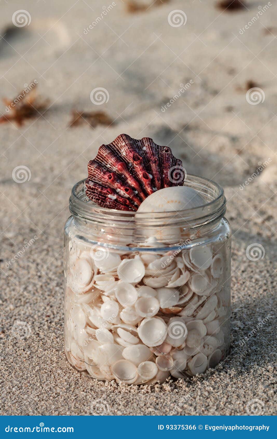 Shells in a Glass Jar on the Sand Beach, Tropical Landscape Stock Photo ...