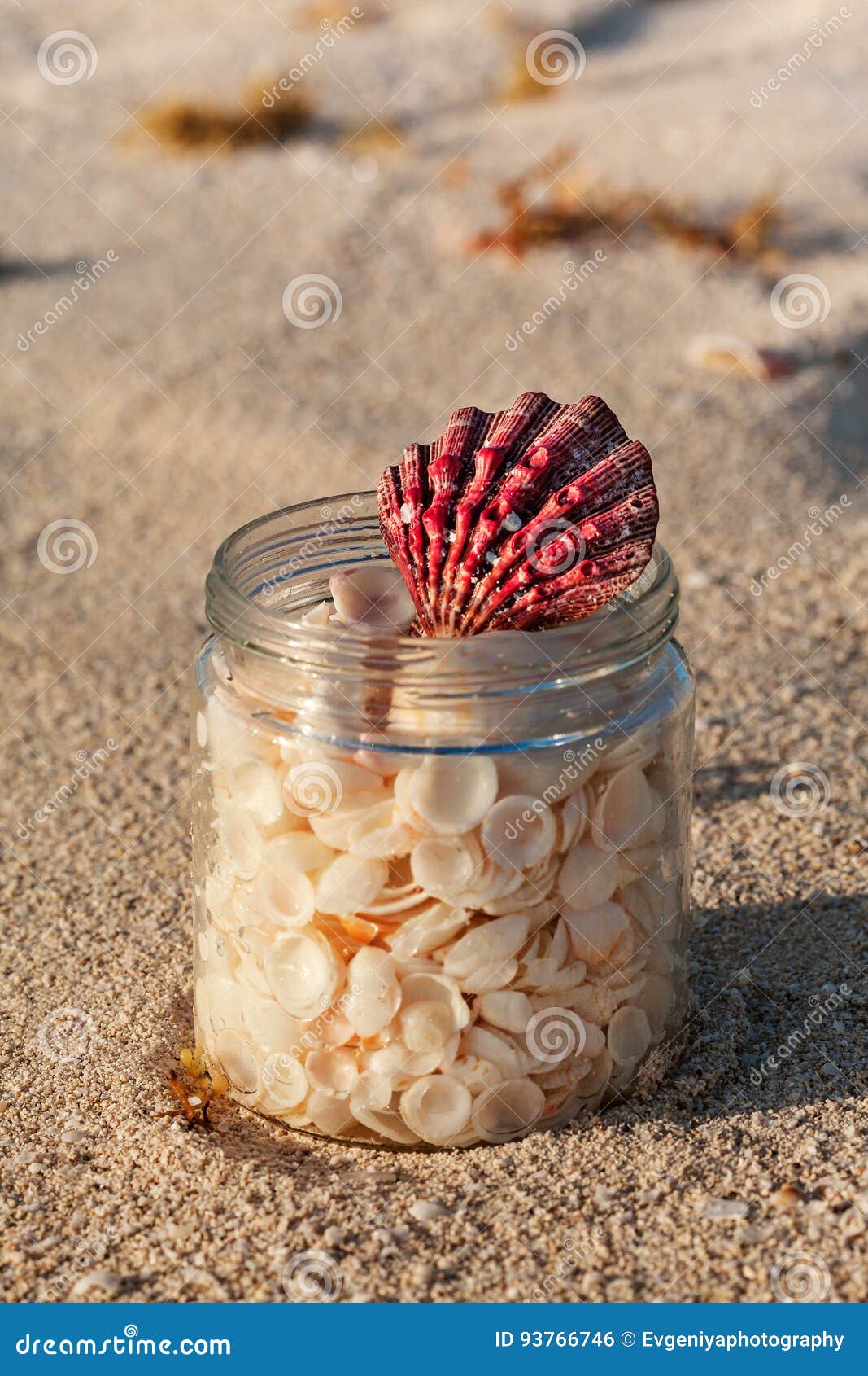 Shells in a Glass Jar on the Sand Beach, Tropical Landscape Stock Photo ...