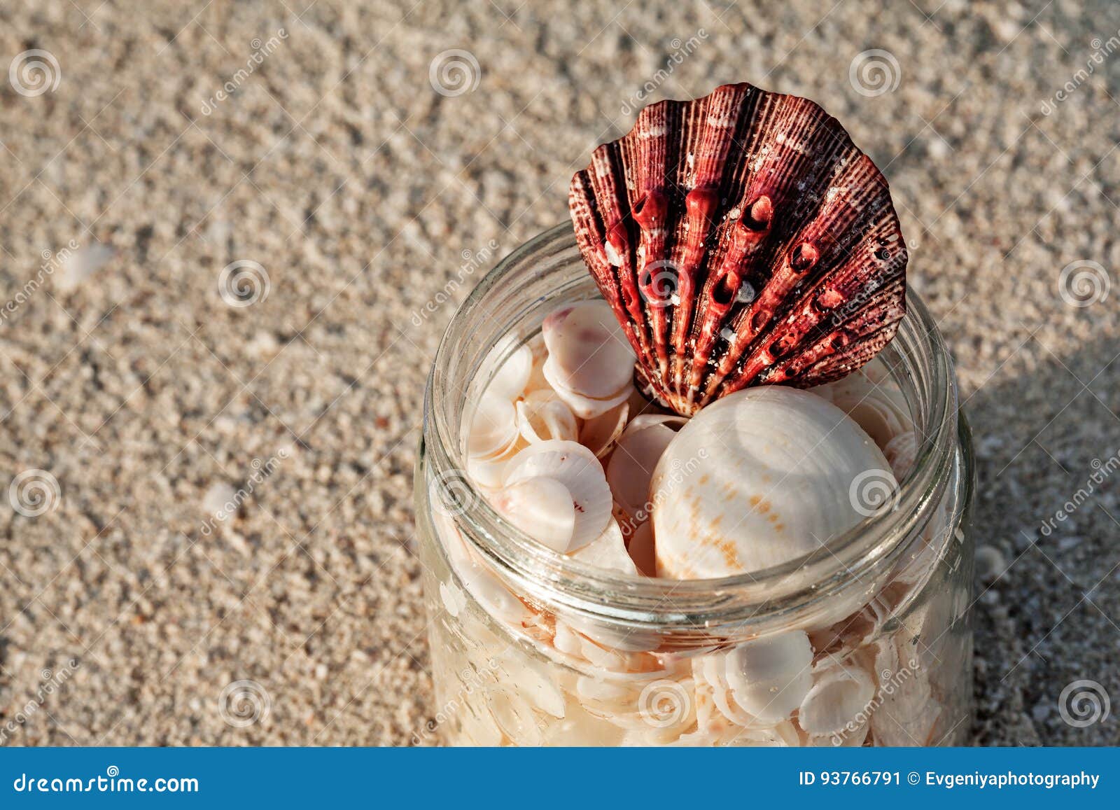 Shells in a Glass Jar on the Sand Beach, Tropical Landscape Stock Image ...