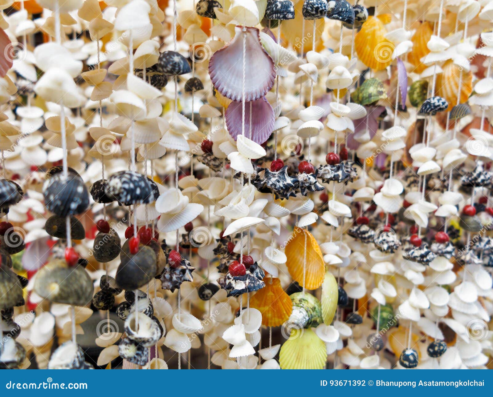 Shells hang in by ropes stock photo. Image of hang, texture - 93671392