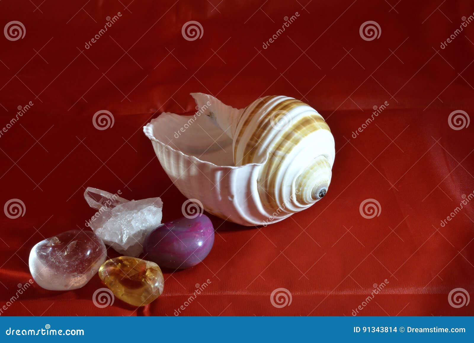 Shells and Hard Stones and Red Background Stock Photo - Image of hard ...