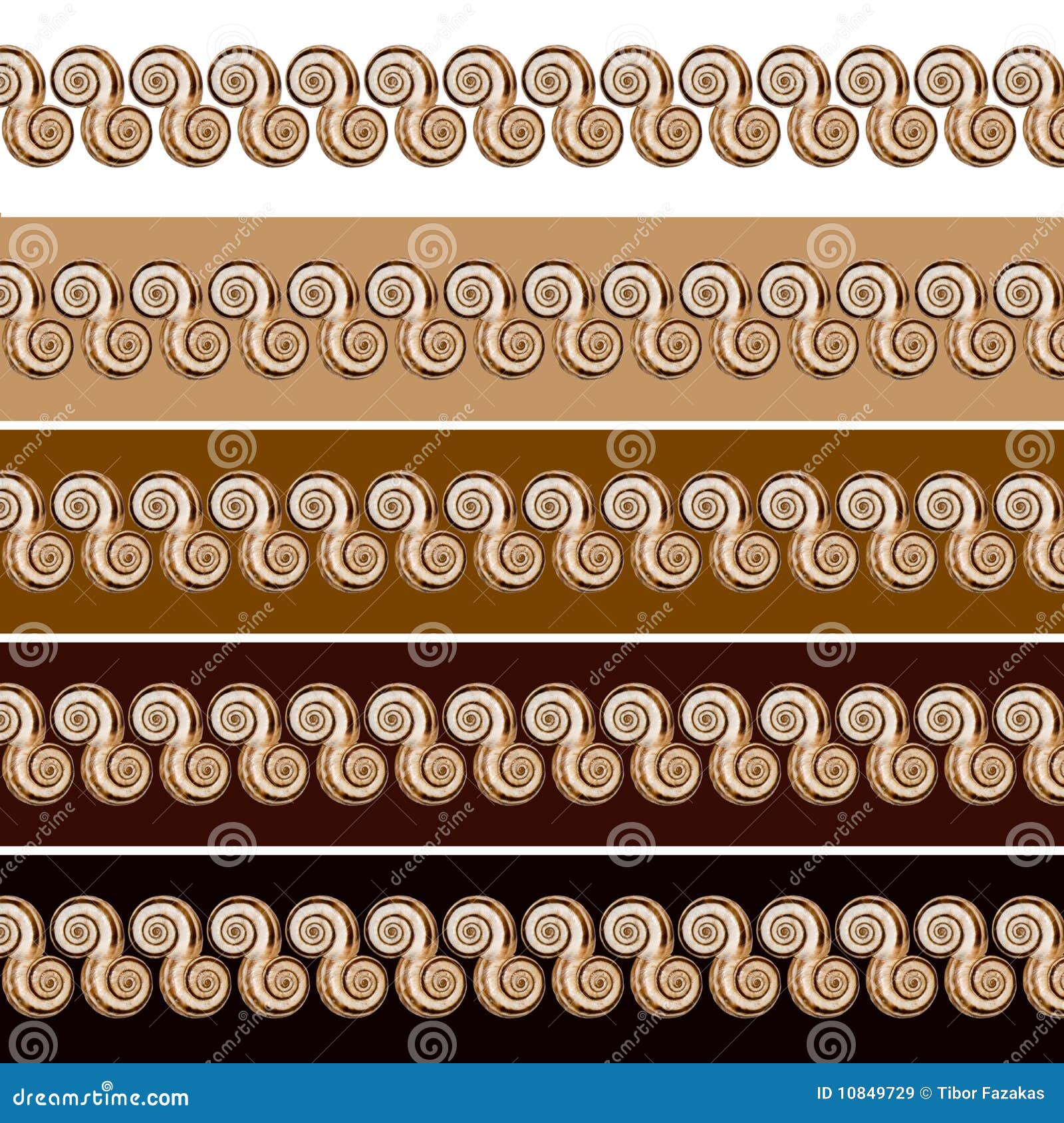 Shells - Headers stock illustration. Illustration of symmetrical - 10849729