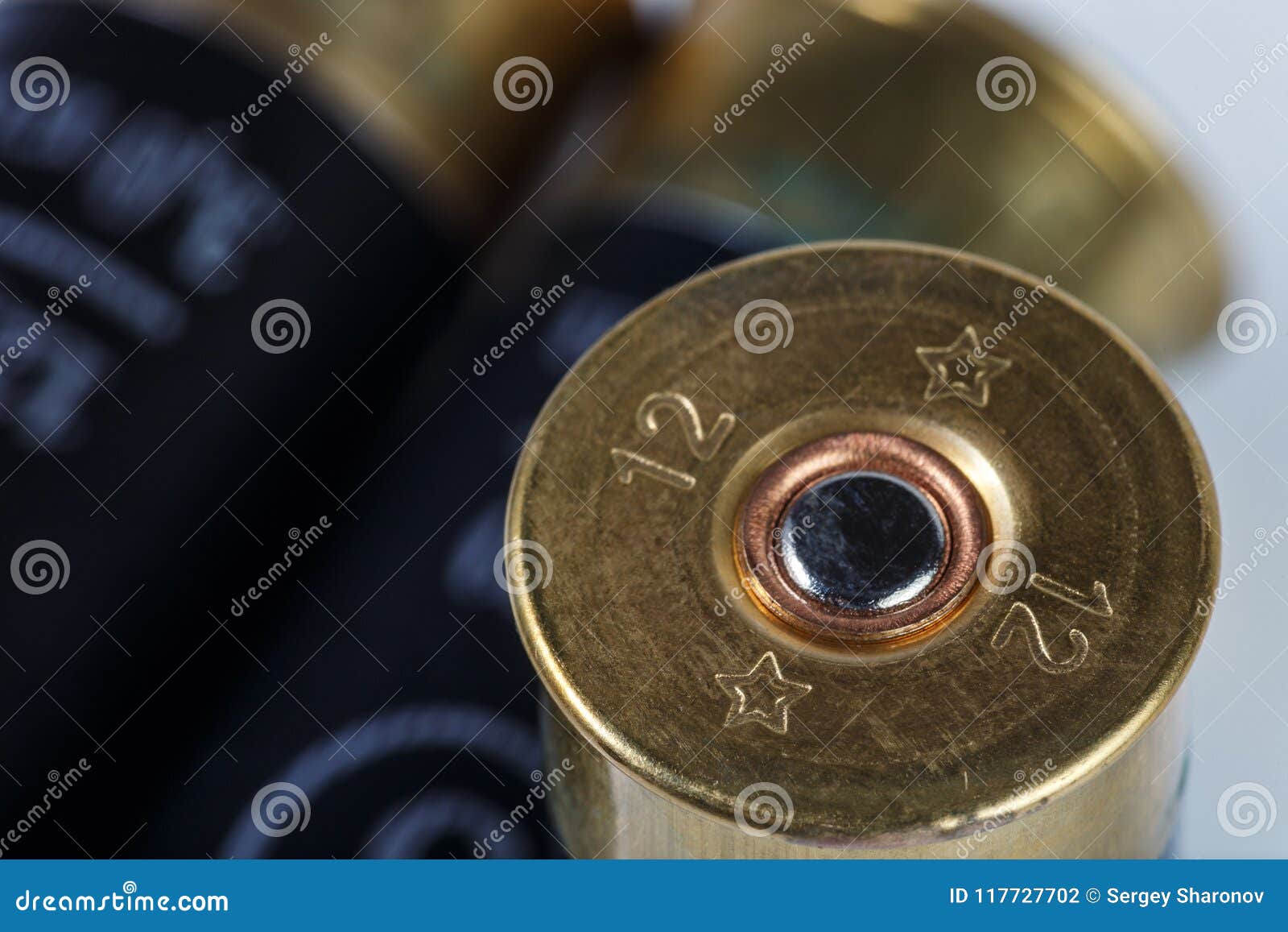 Hunting shells stock photo. Image of closeup, capsule - 117727702