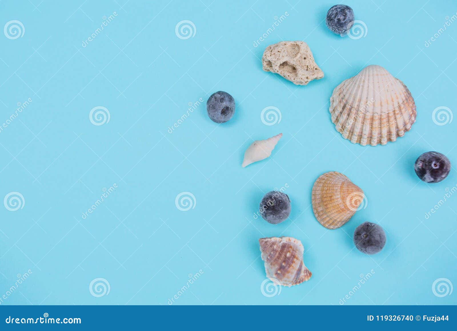 Shells on a Light Blue Background Stock Photo - Image of light, design ...