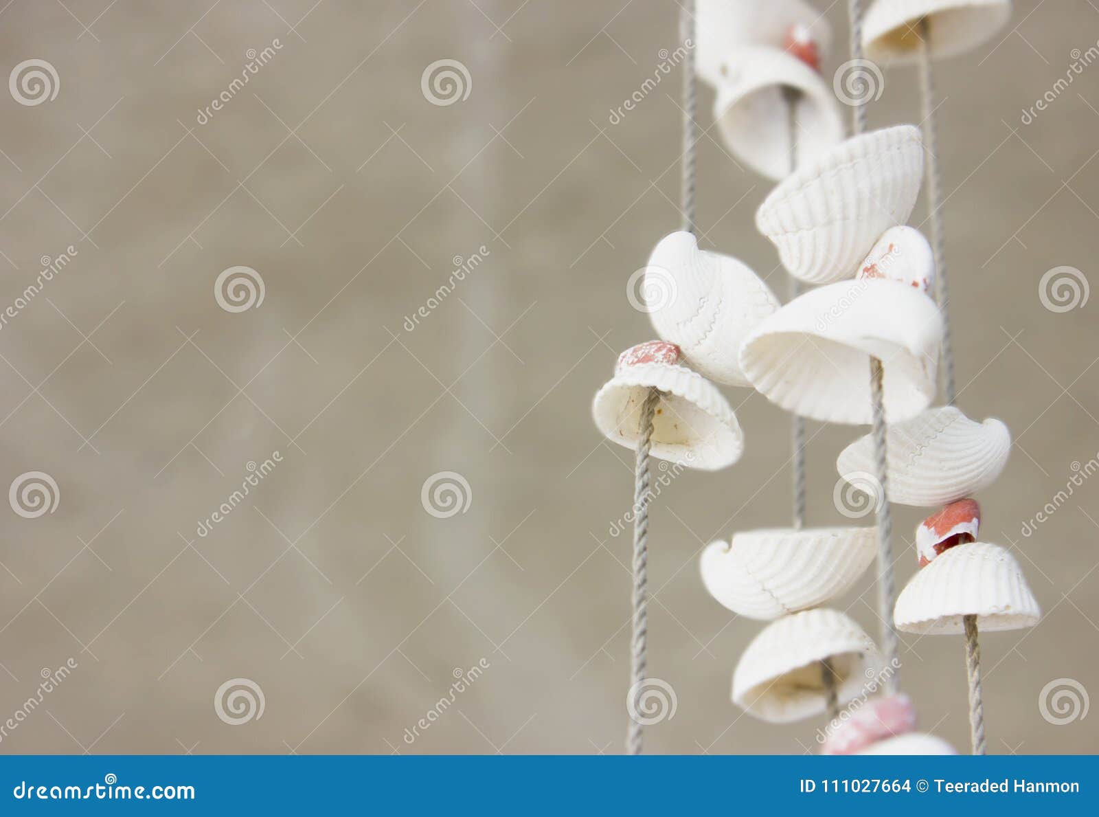 Shells mobile hanging stock photo. Image of hang, accessories - 111027664