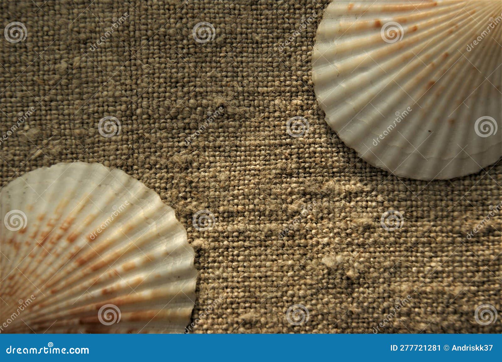 Shells in the Corners of the Background. Shells on Natural Linen Fabric ...