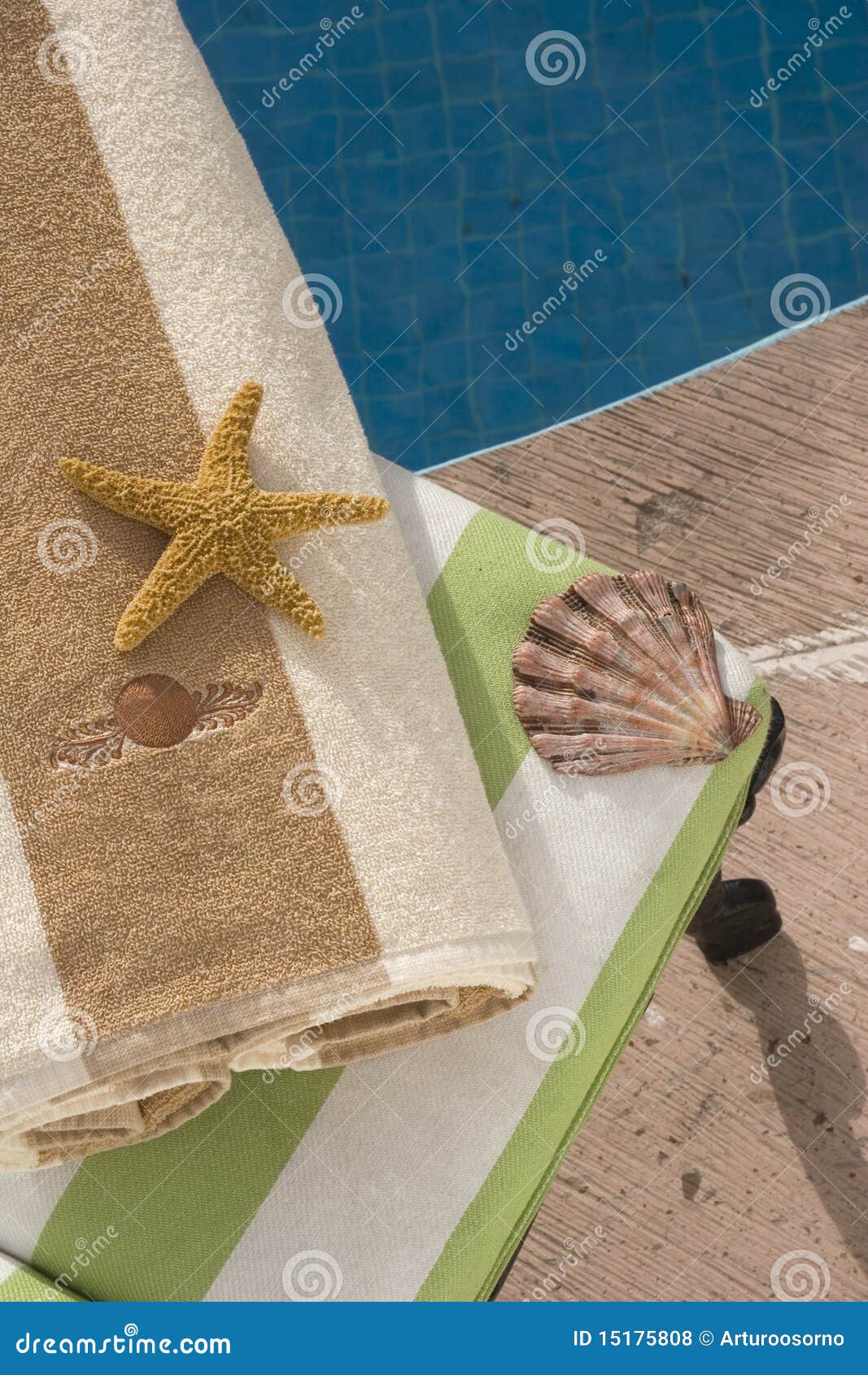 Shells near the pool stock photo. Image of water, resort - 15175808