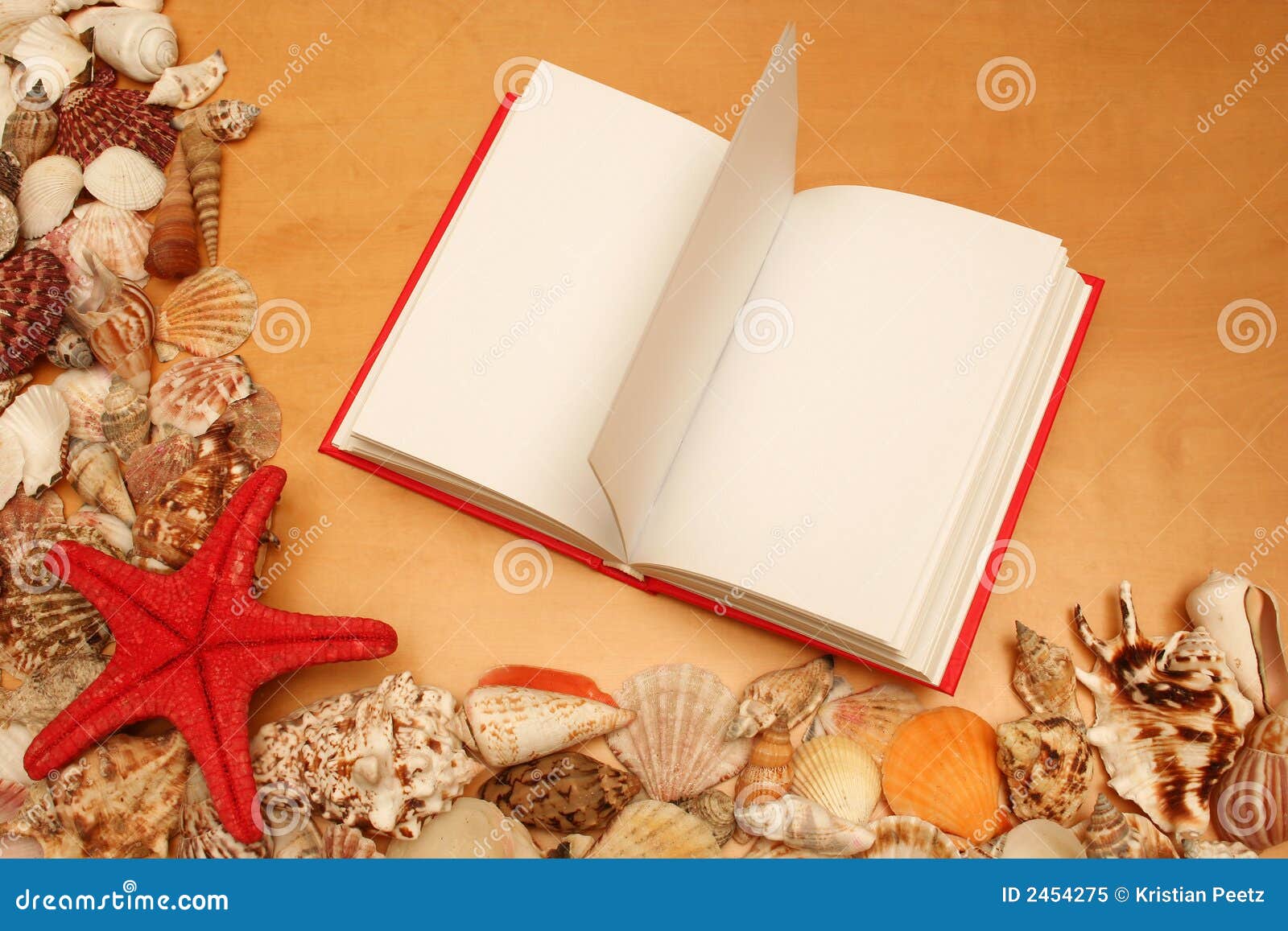 Shells and open book stock image. Image of collection - 2454275