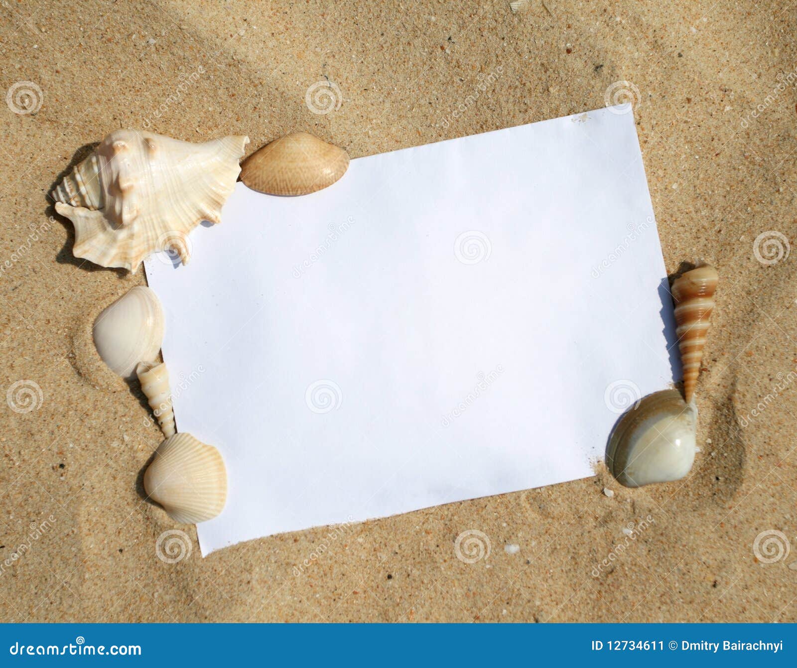 Shells on paper frame stock image. Image of empty, conch - 12734611