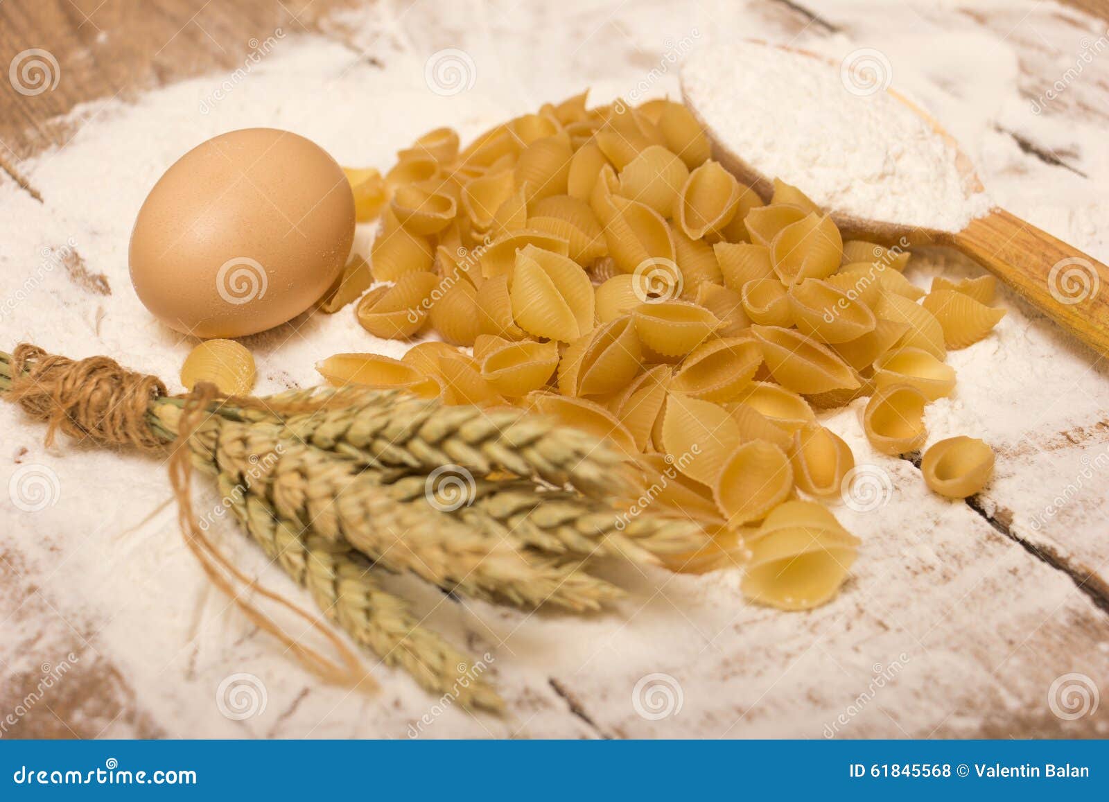 Shells pasta stock photo. Image of dieting, carbohydrates - 61845568