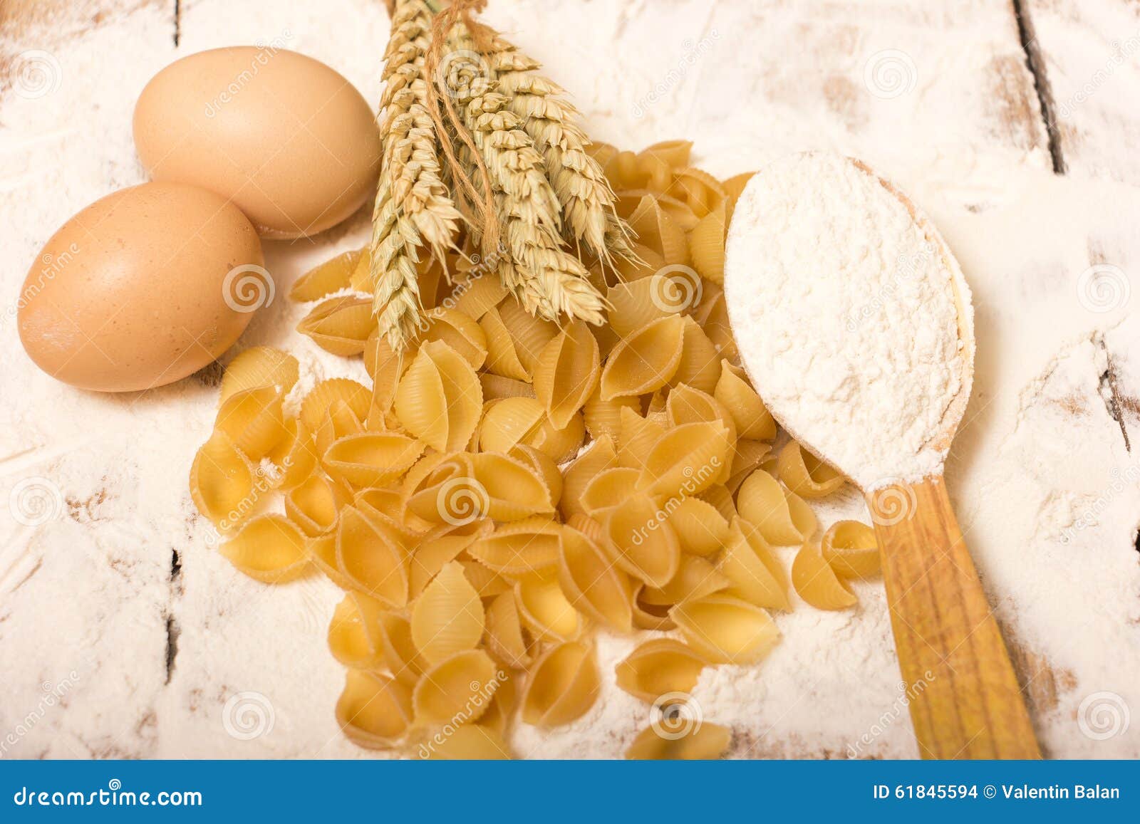 Shells pasta stock photo. Image of andwheat, macro, cook - 61845594
