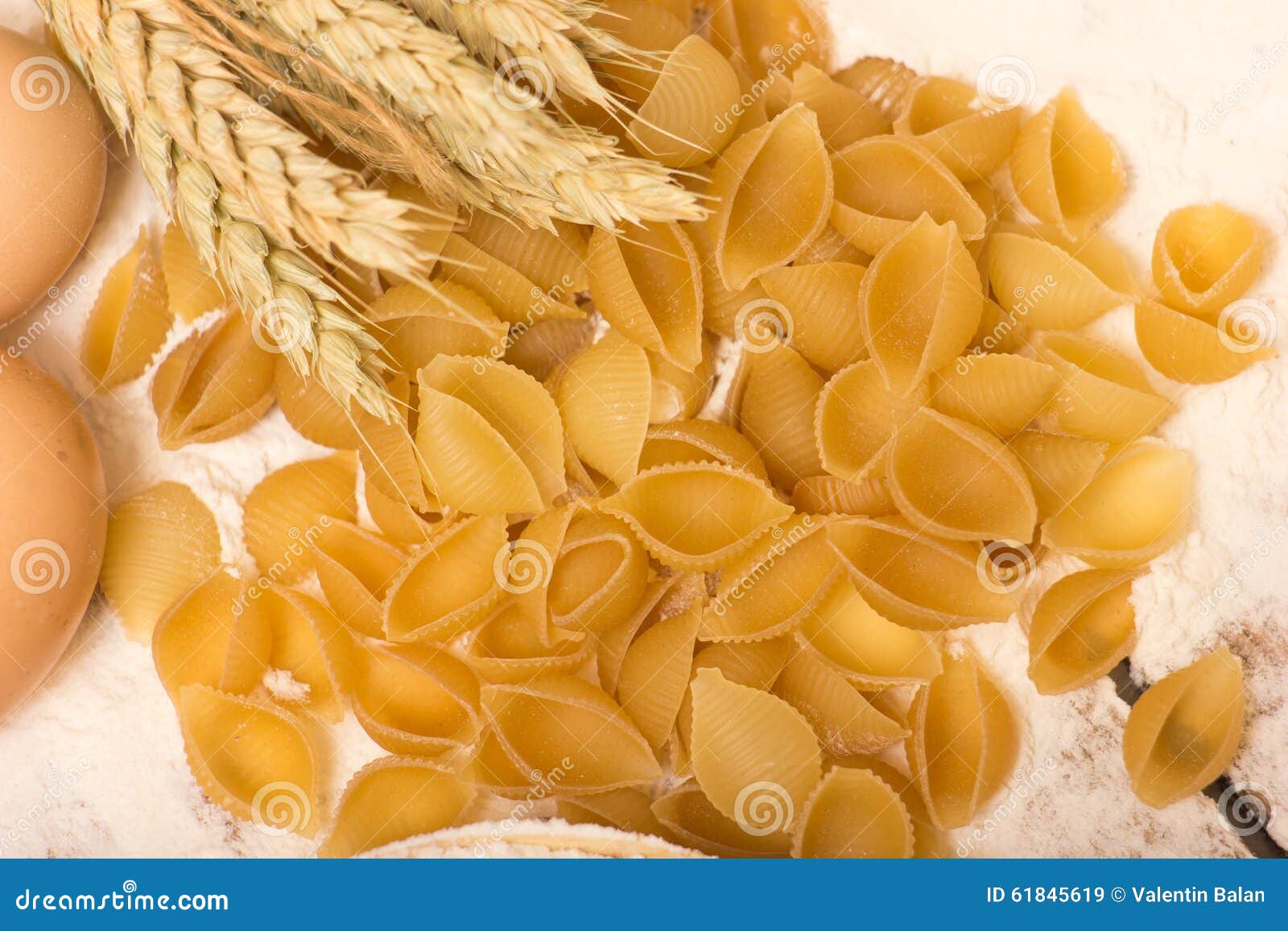 Shells pasta stock image. Image of italian, cuisine, dinner - 61845619